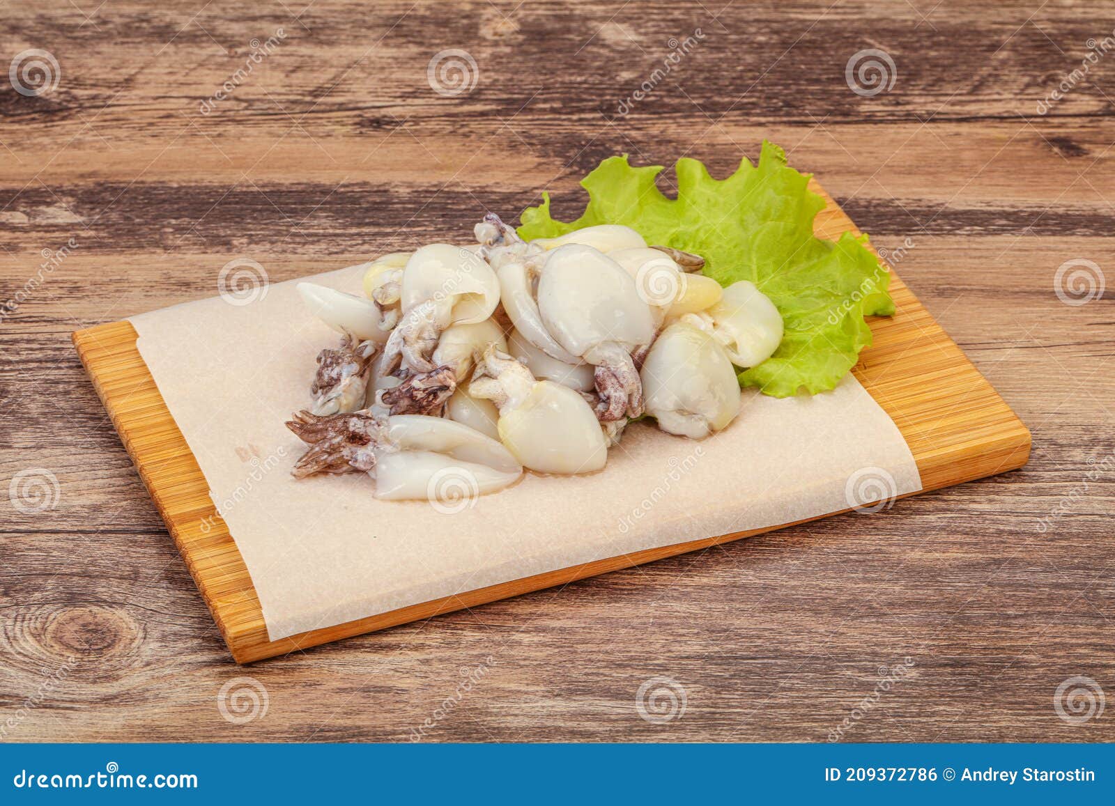 Raw Seafood - Cuttlefish for Cooking Stock Photo - Image of nature ...