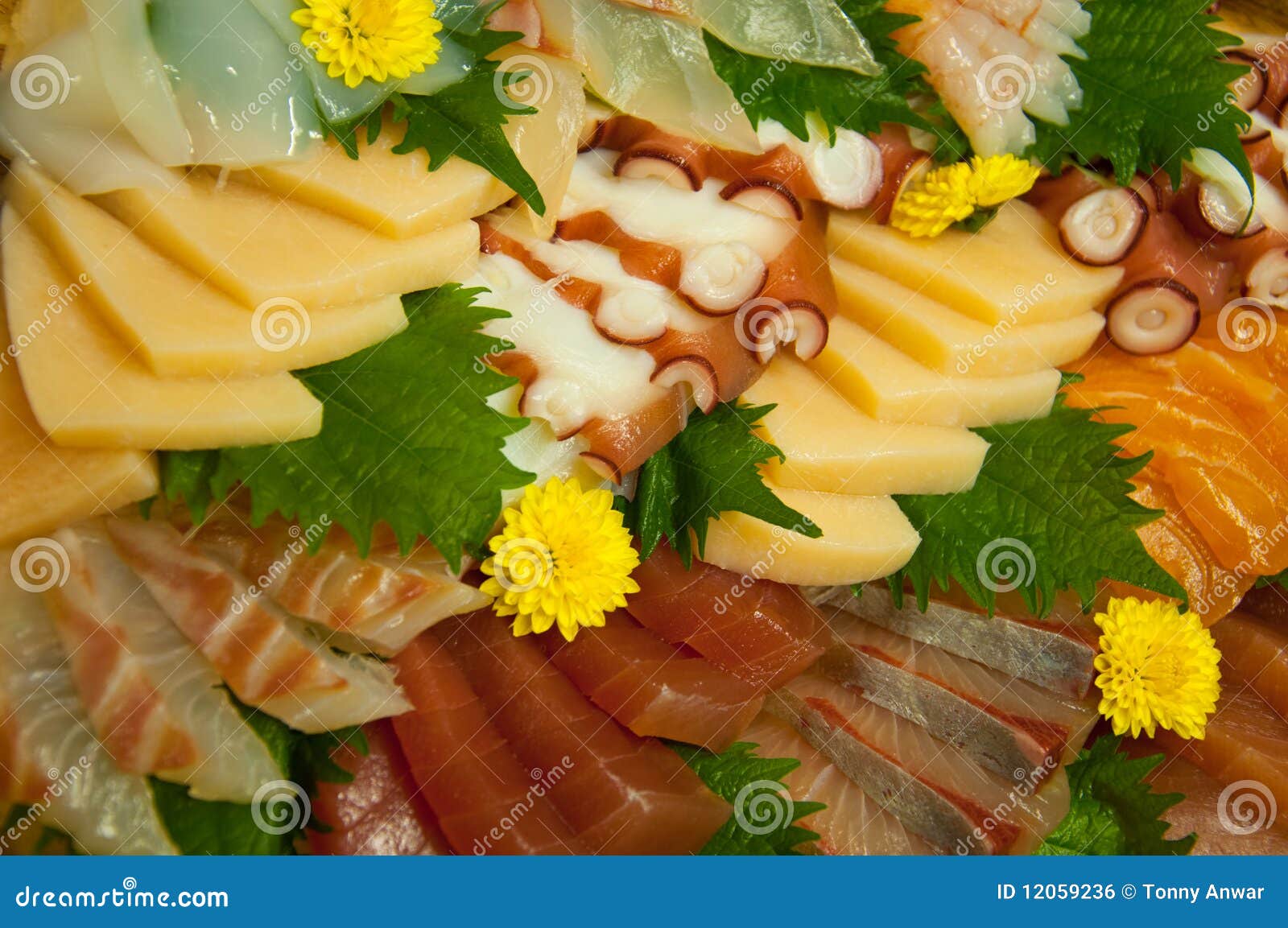 Raw Seafood Sashimi stock photo. Image of leaf, color - 12059236