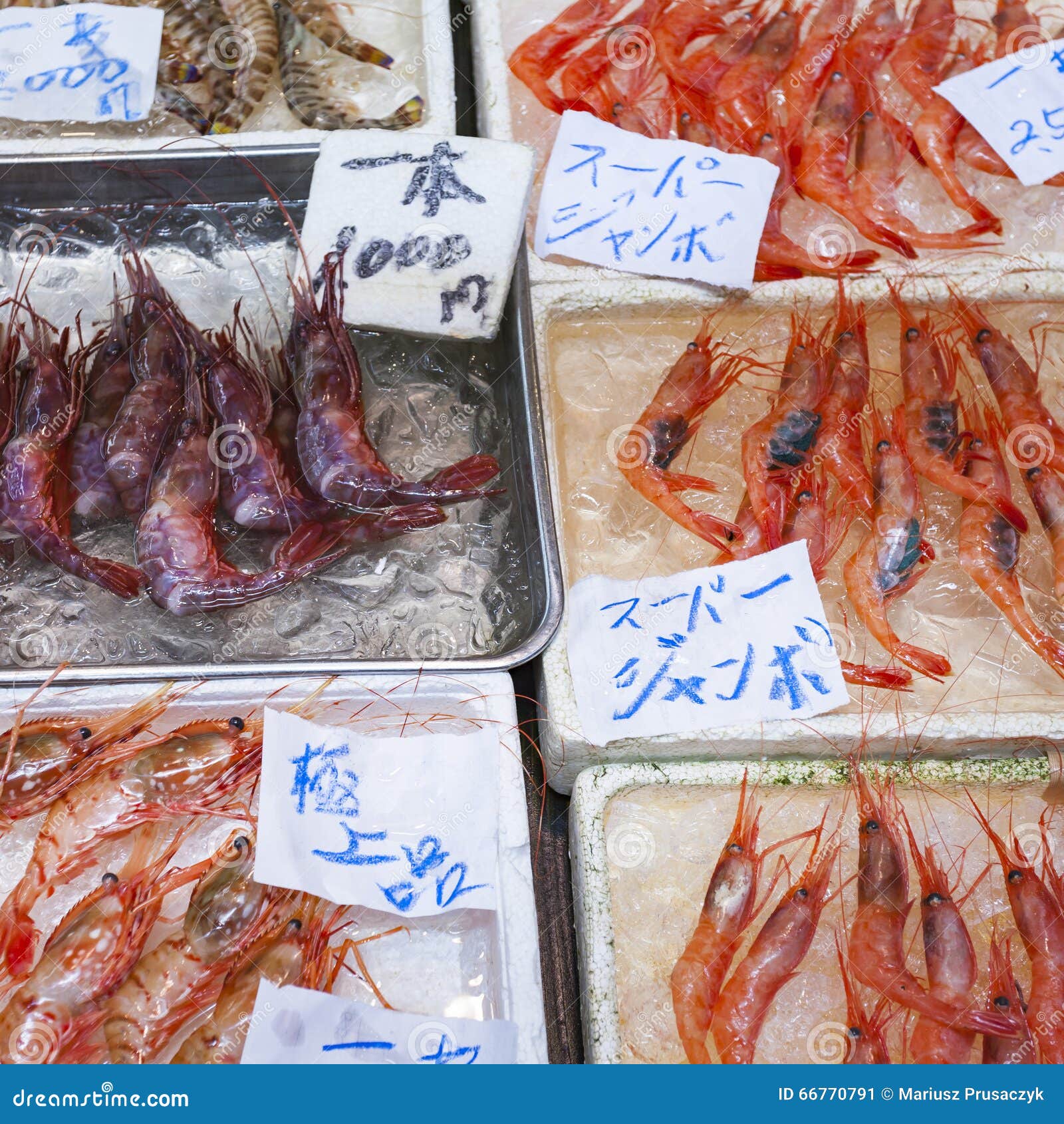 Raw Seafood Selling on Market in Japan Stock Image - Image of nijo ...