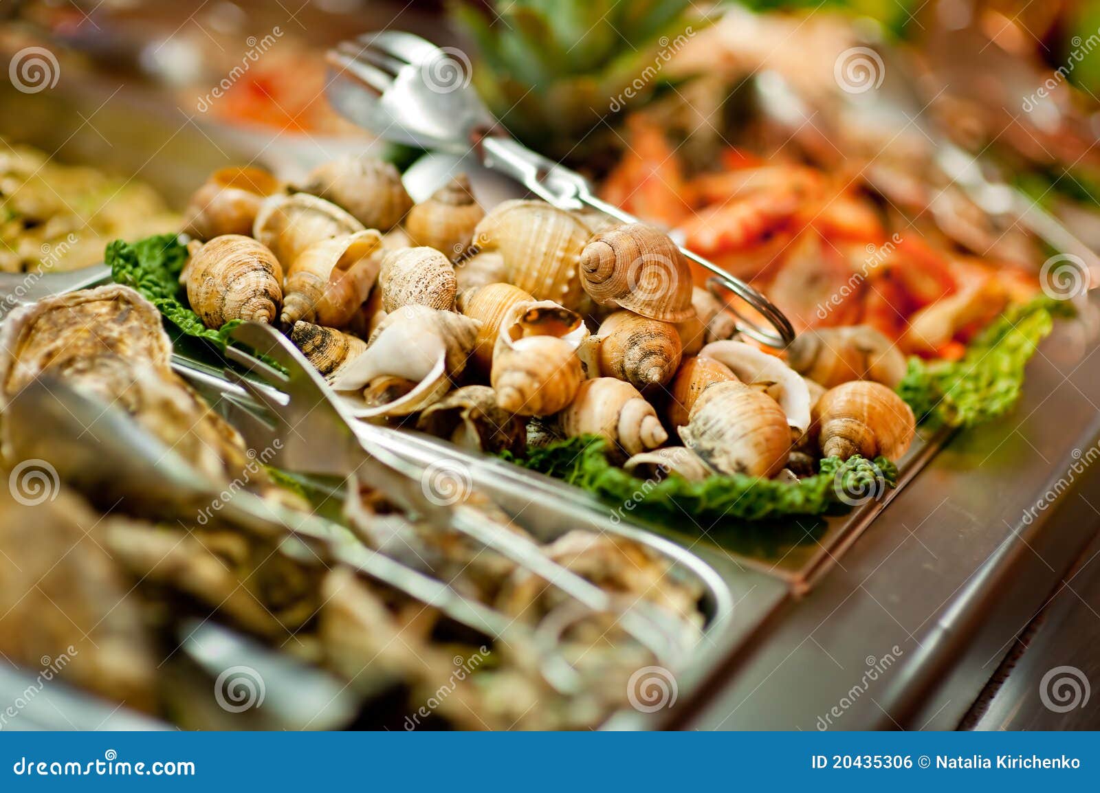 Raw seashells on buffet stock photo. Image of decoration - 20435306