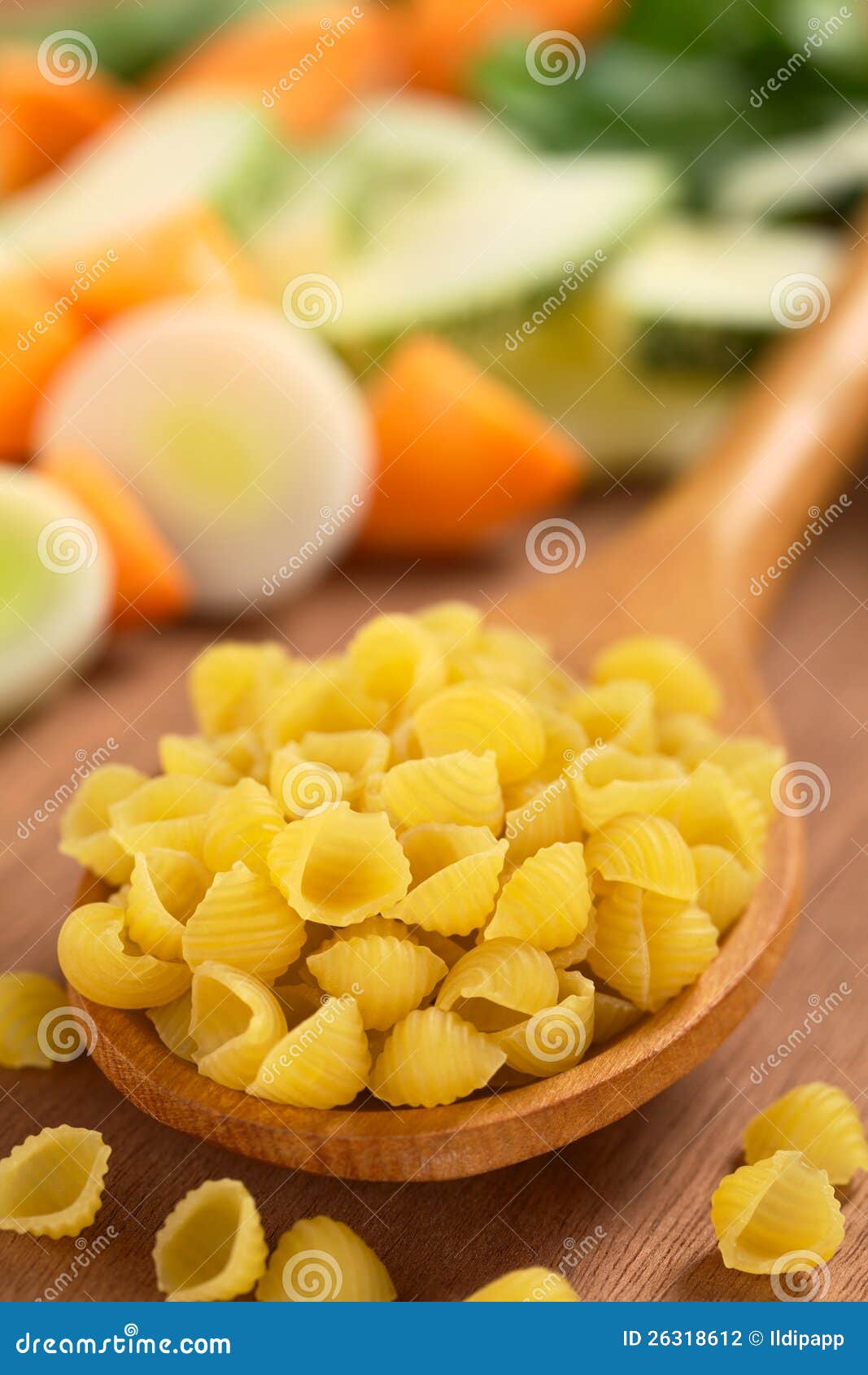 Raw Shell Pasta stock photo. Image of pasta, cuisine - 26318612