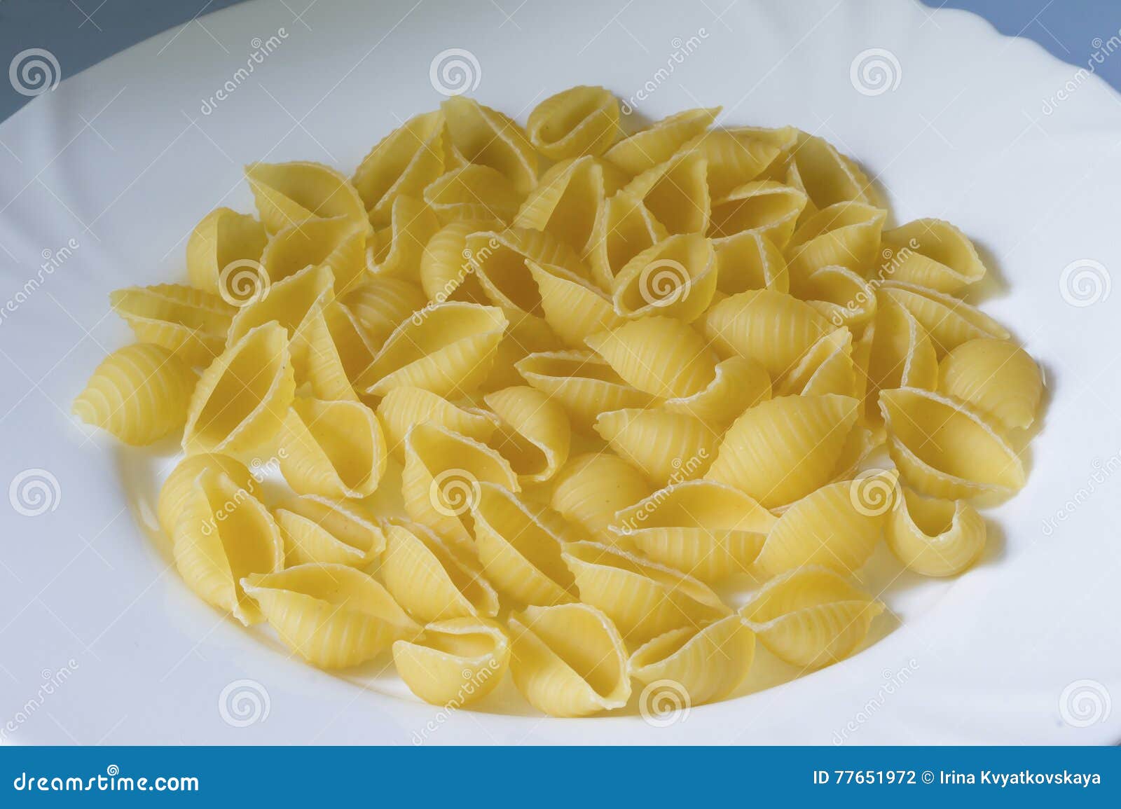 Raw shell pasta stock photo. Image of plate, meal, delicious - 77651972