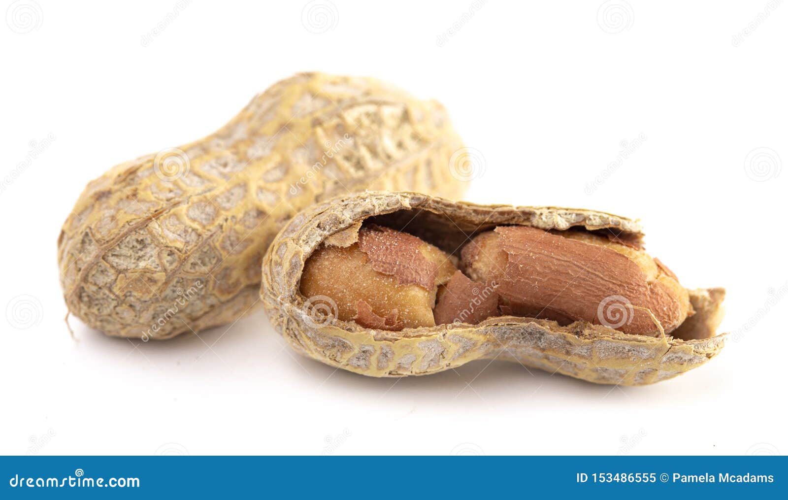 Raw in Shell Peanuts on a White Background Stock Image - Image of ...