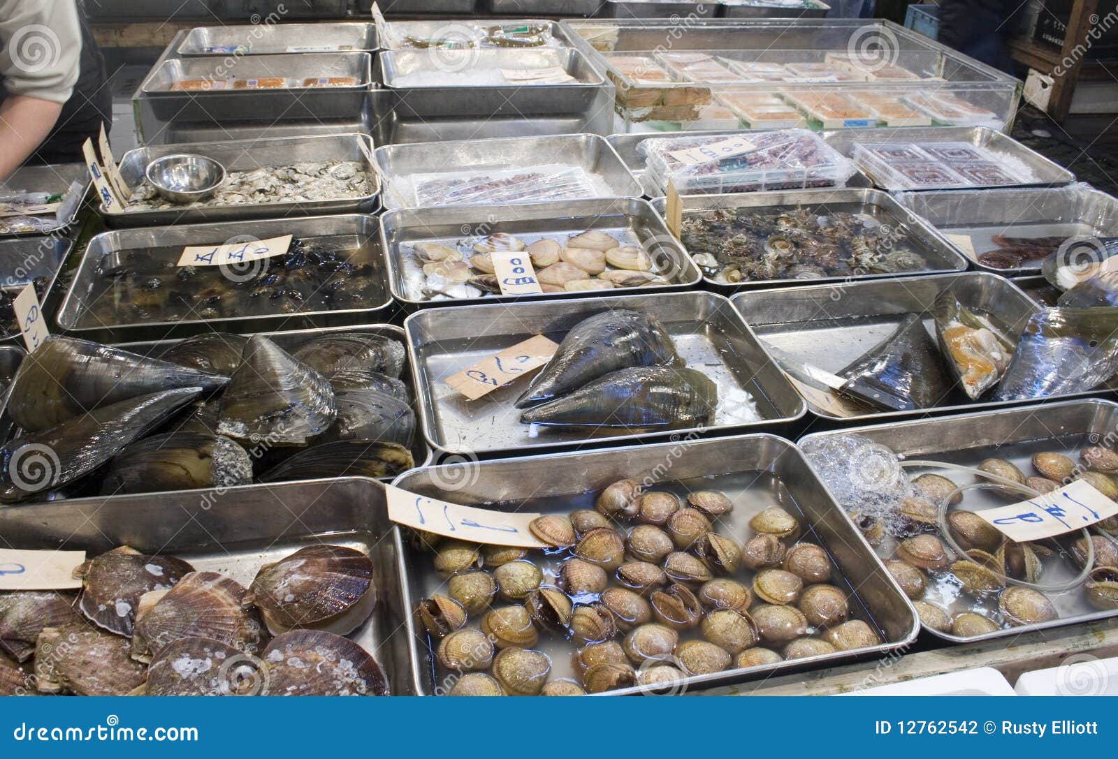 Raw Shellfish stock photo. Image of mussels, shell, shellfish - 12762542