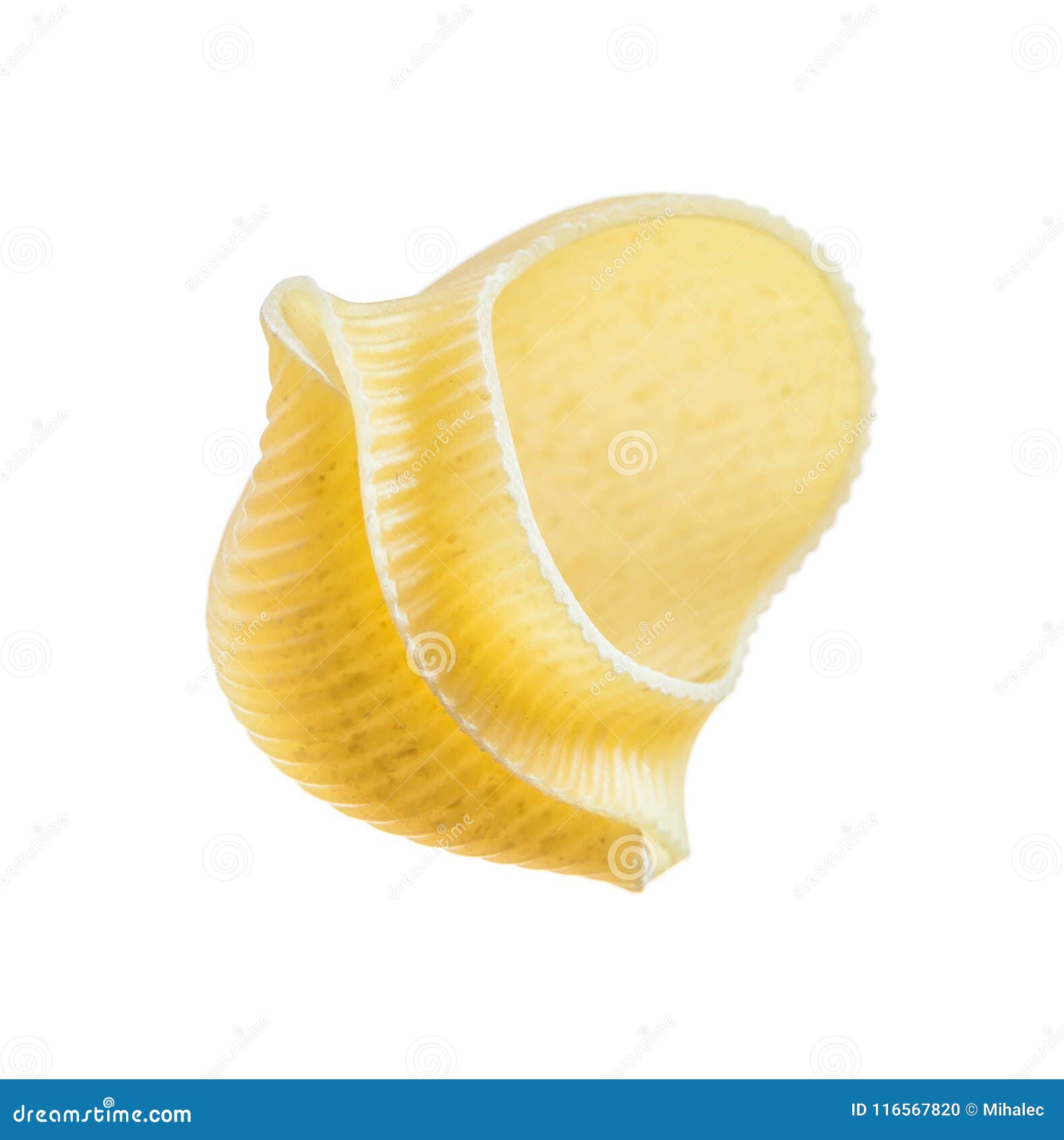 Raw Short-cut Pasta Shell Isolated on White Stock Photo - Image of ...