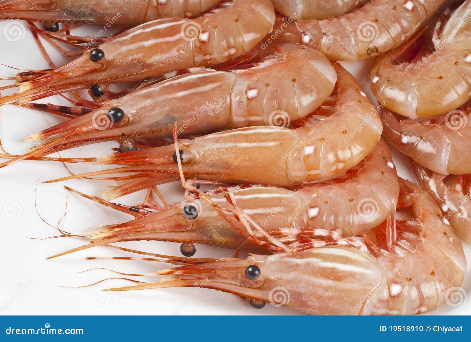Raw Shrimp Isolated on White Stock Photo - Image of white, vancouver ...