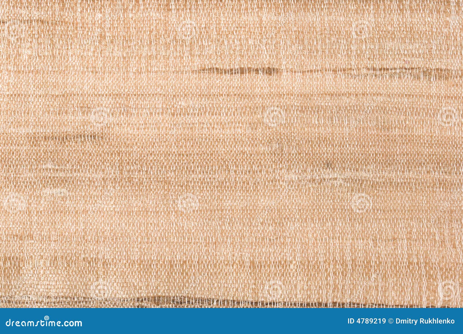 Raw Silk Fabric Texture