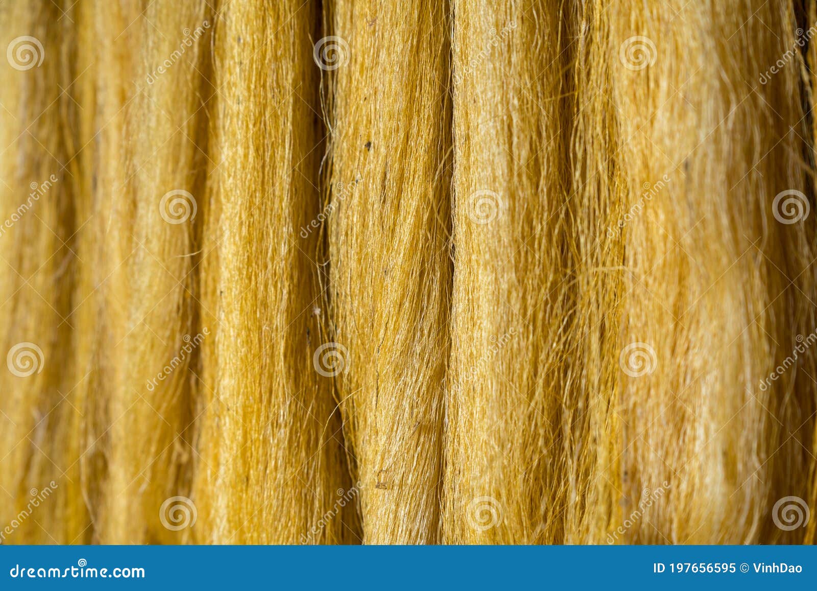 Raw Silk Thread Made from Pure Cocoon of Silkworm Stock Image - Image ...