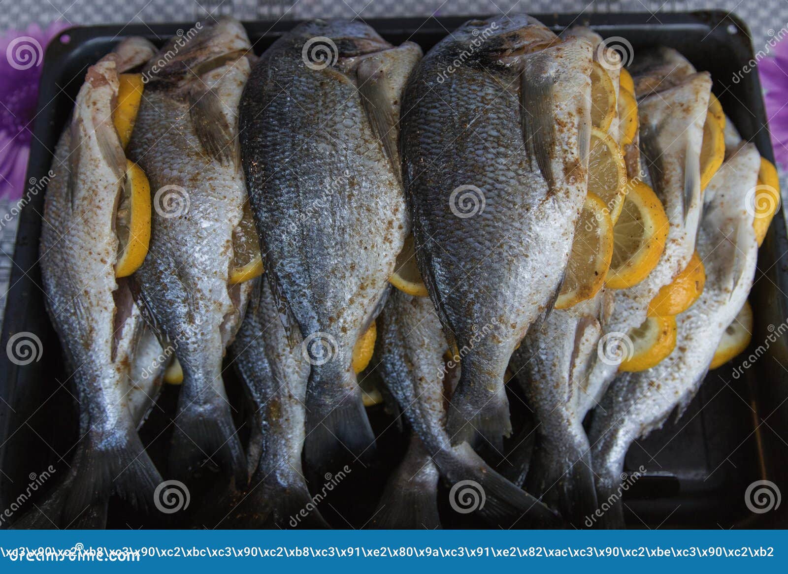 Raw silver sea bream fish stock photo. Image of marine - 77248604
