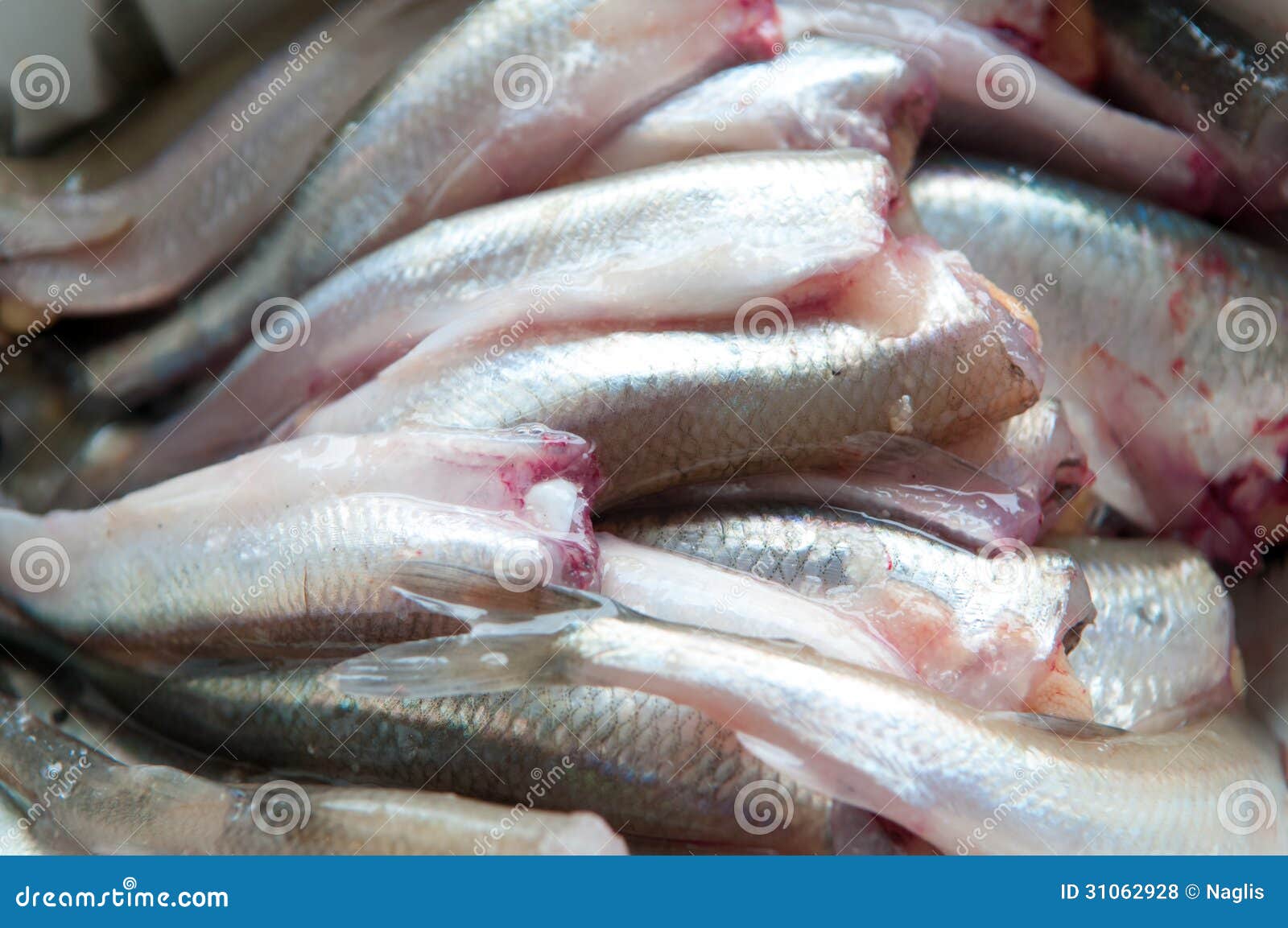 Raw Smelt Fish stock photo. Image of kitchen, fresh, fish - 31062928