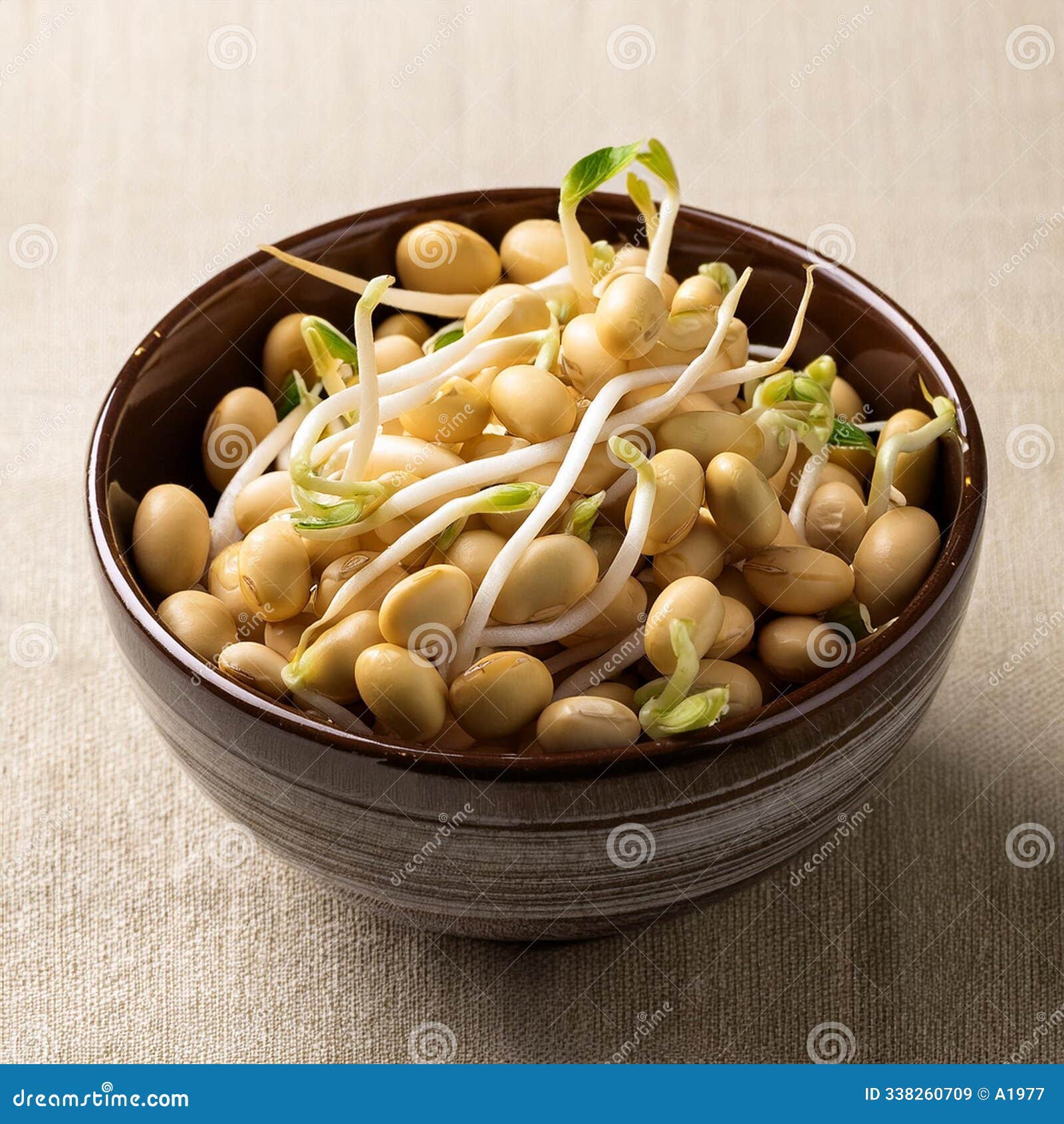 Bean Sprouts Watercolor Illustration Sketch Drawing Style Clipart ...