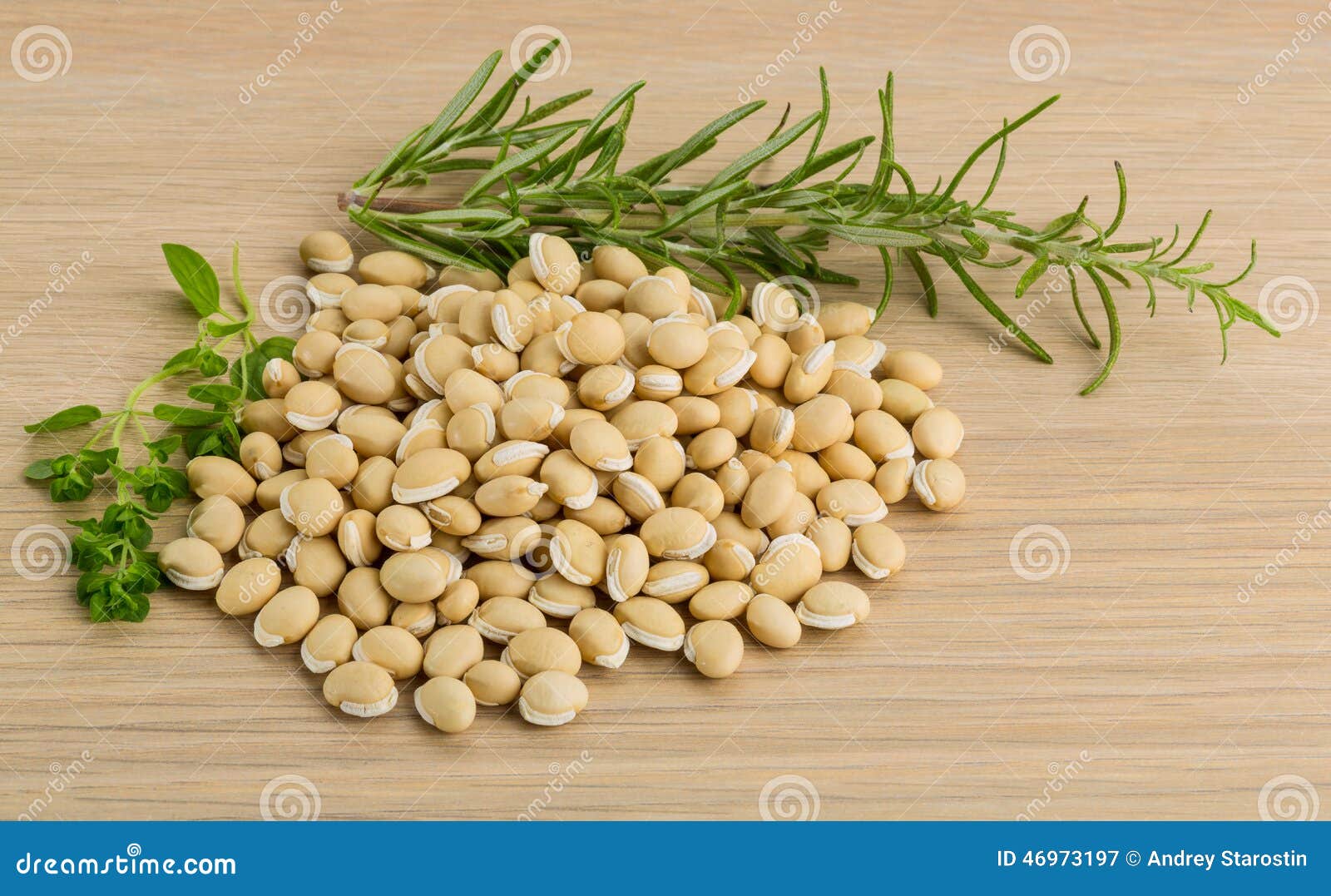 Raw soya bean stock image. Image of plant, soybean, agriculture - 46973197