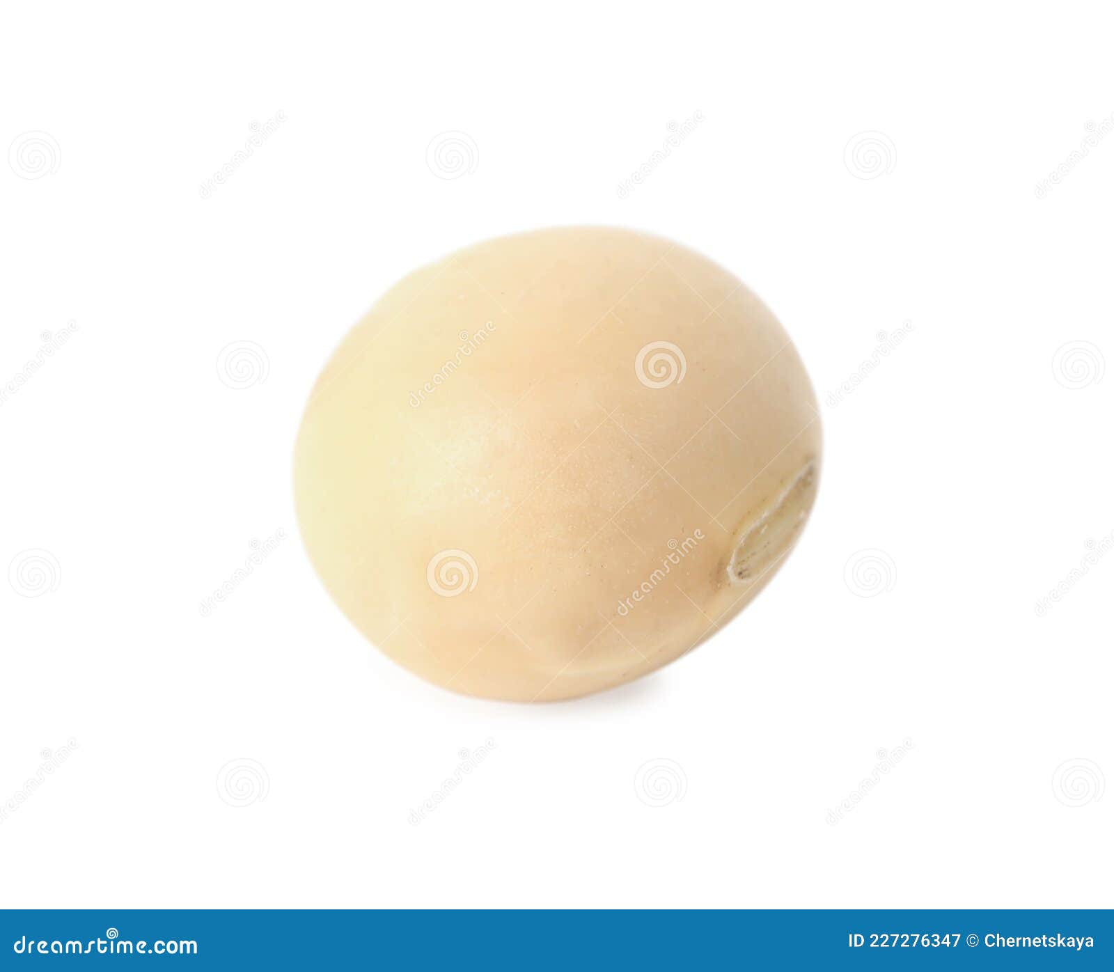 Raw Soya Bean on White Background. Vegetable Planting Stock Image ...