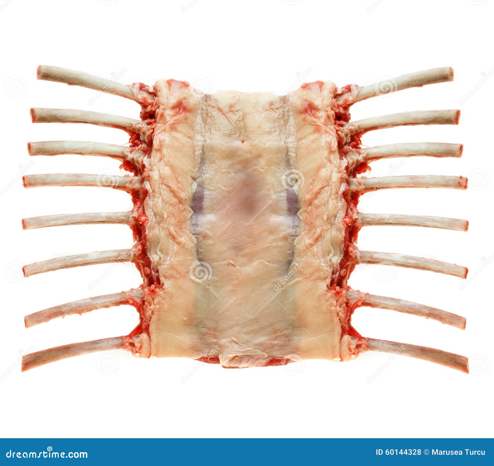 Raw spare ribs stock photo. Image of uncooked, ribs, pork - 60144328
