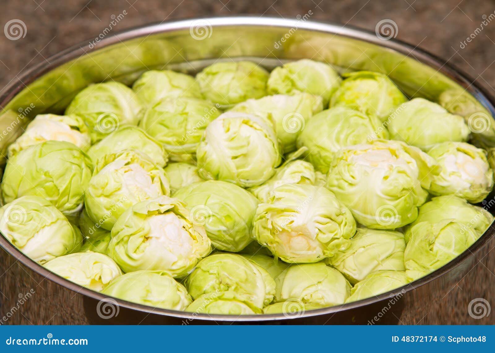 Raw sprouts stock photo. Image of menu, cooking, kitchen - 48372174
