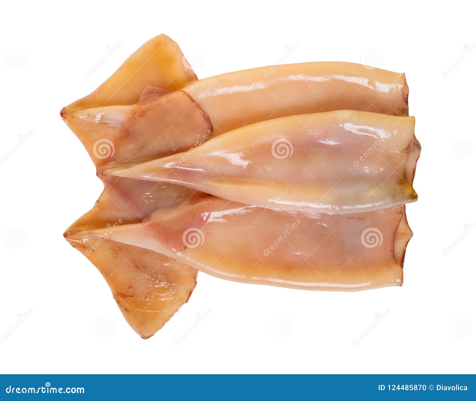 Raw squid close-up stock photo. Image of close, invertebrate - 124485870