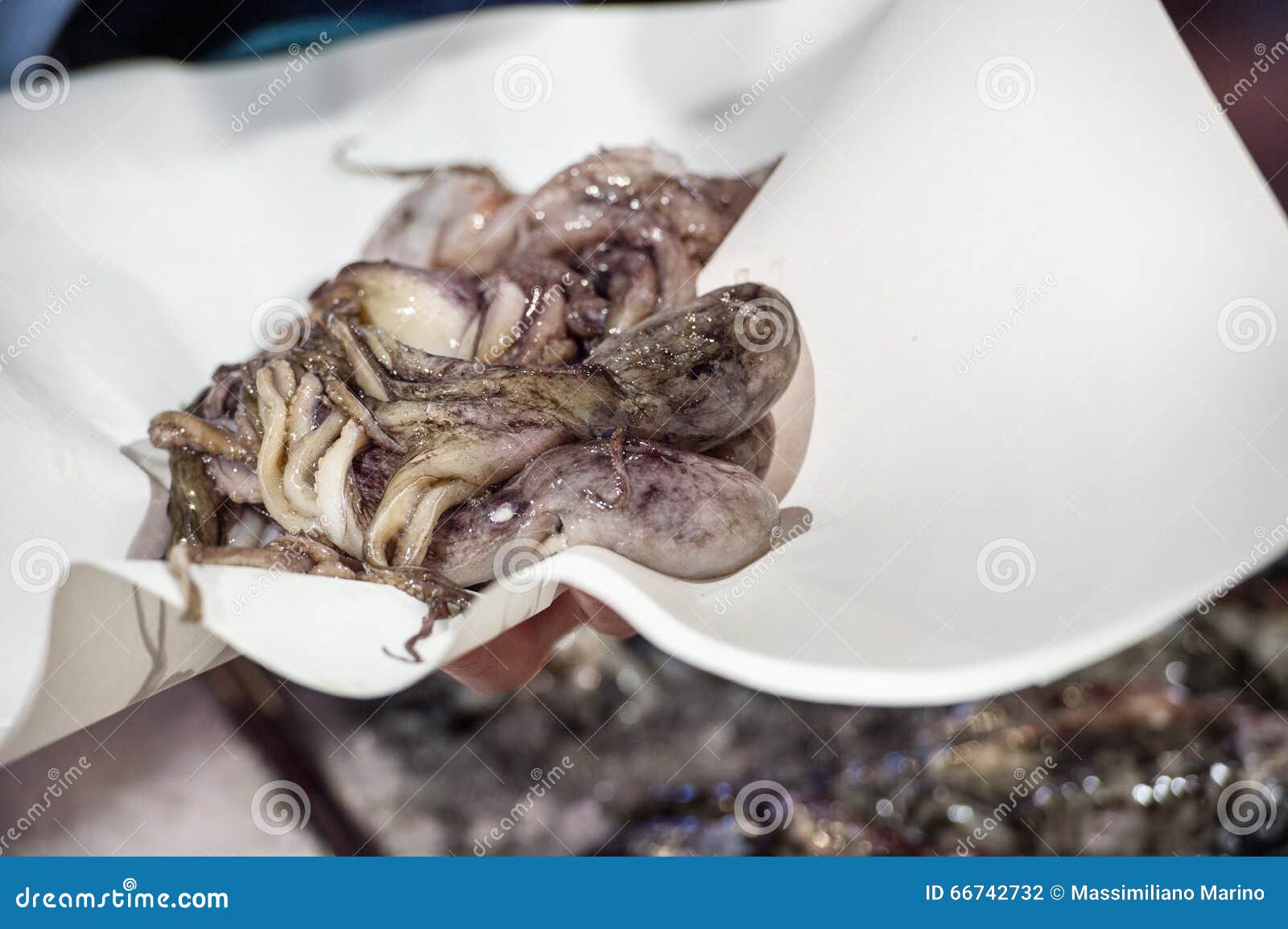 Raw Squid in Fish in the Basket Stock Photo - Image of purple, fresh ...