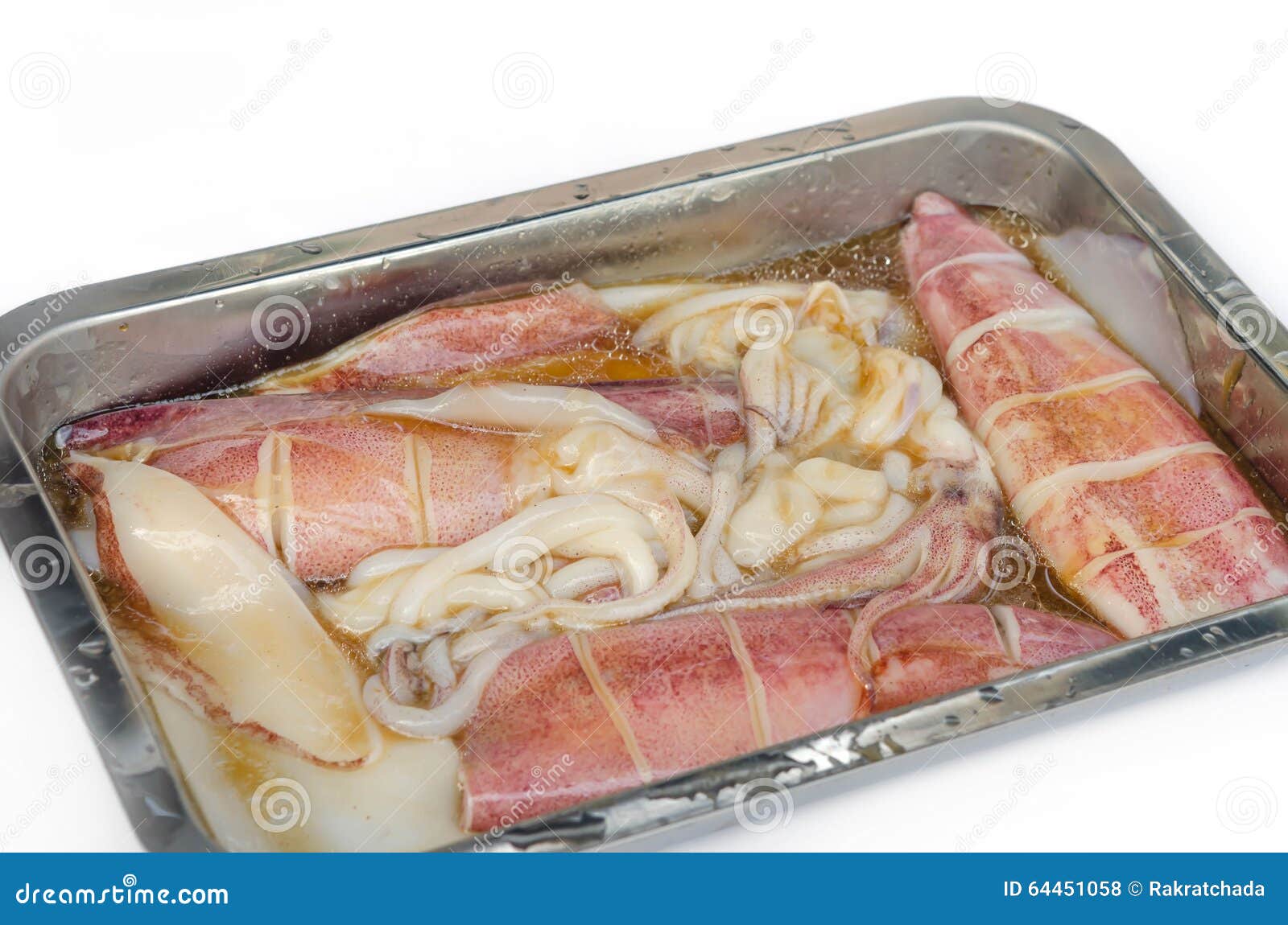 Raw squid stock photo. Image of cook, tubes, healthy - 64451058