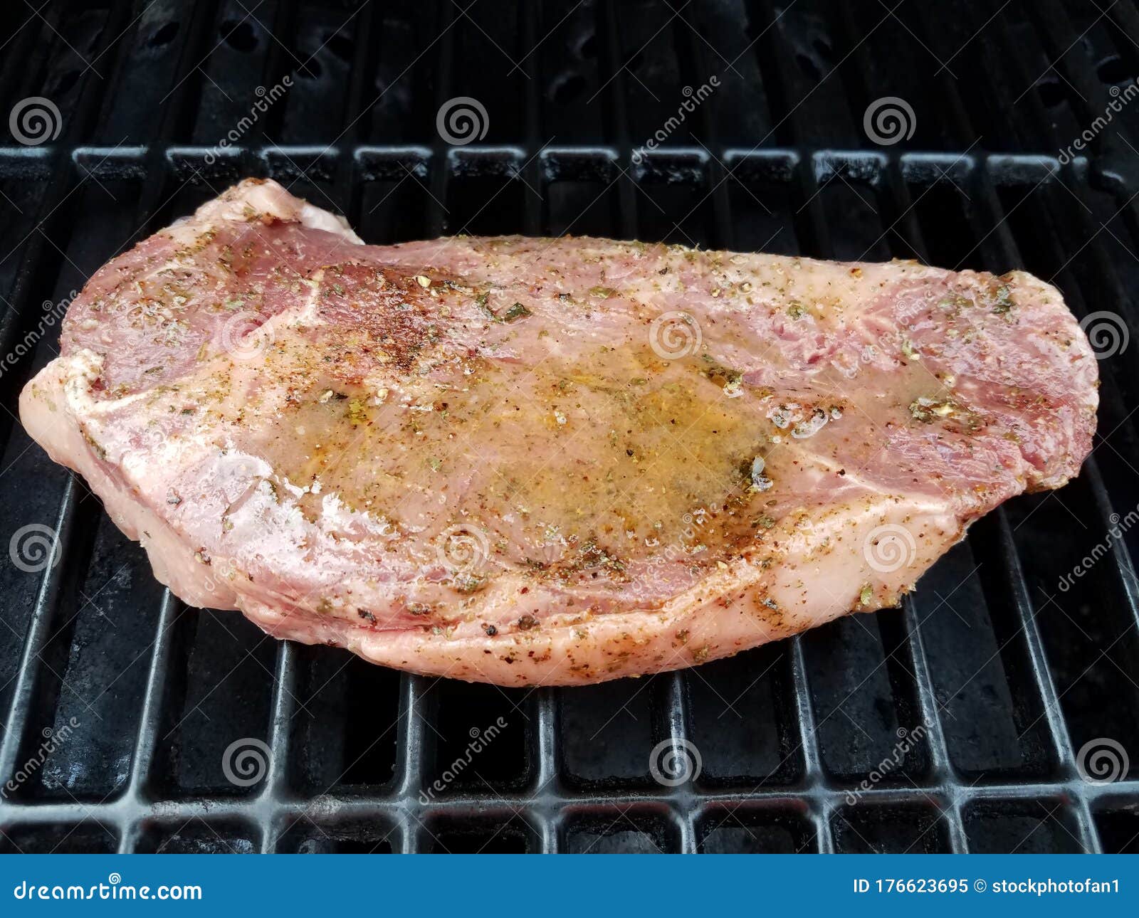 Raw Steak Meat on Barbecue Grill Rack with Liquid Stock Image - Image ...