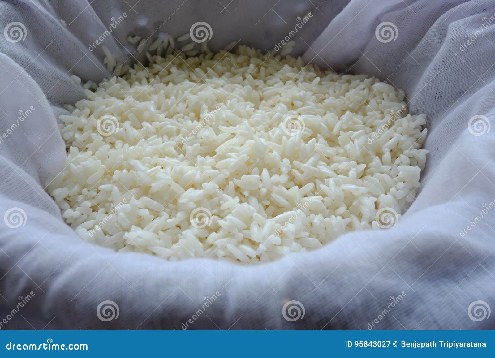 Raw Sticky Rice in Thin White Fabric Prepare for Cook Stock Image ...