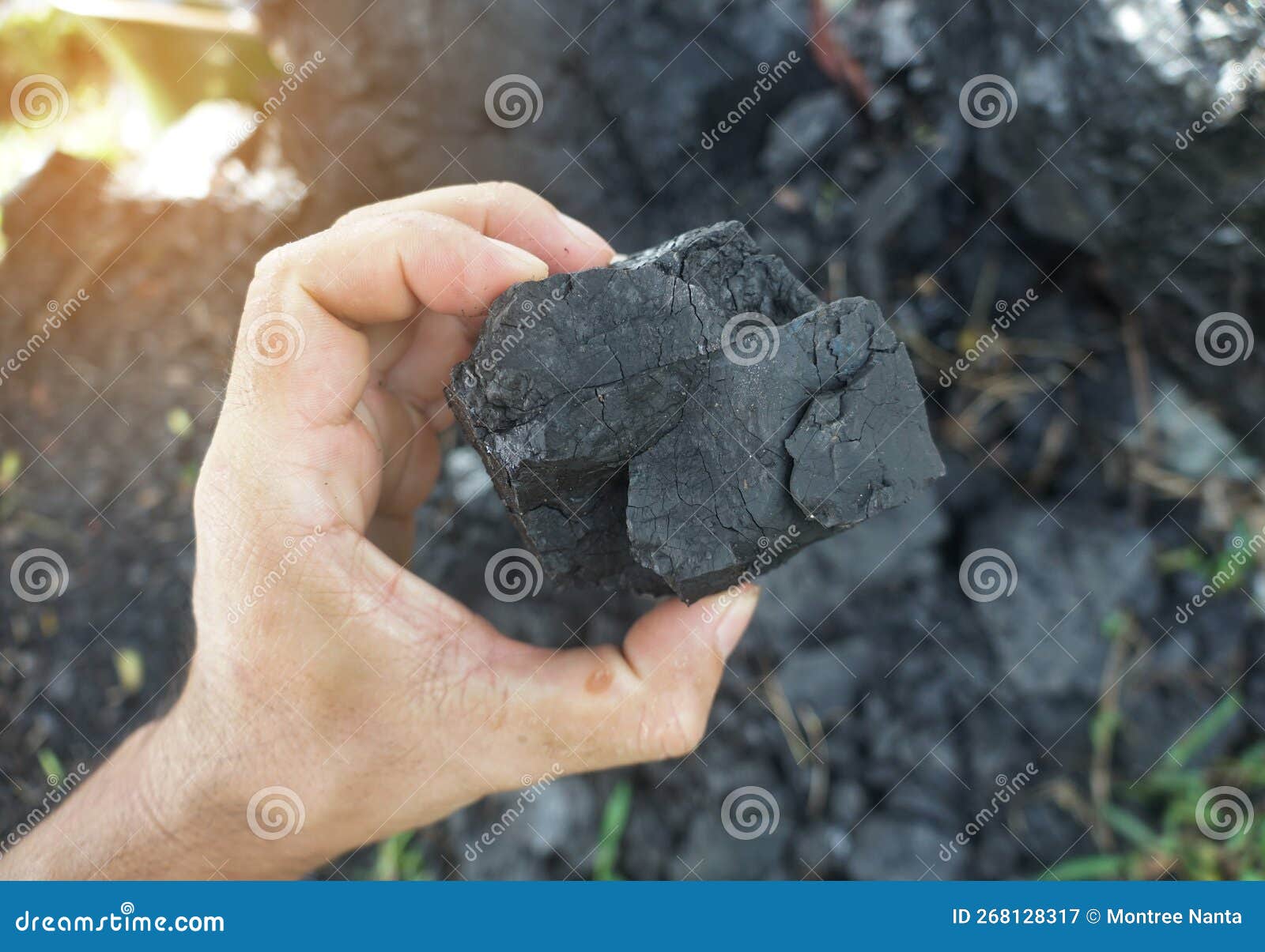 Raw Sub-Bituminous Coal in a Hand. Stock Image - Image of wood, sand ...