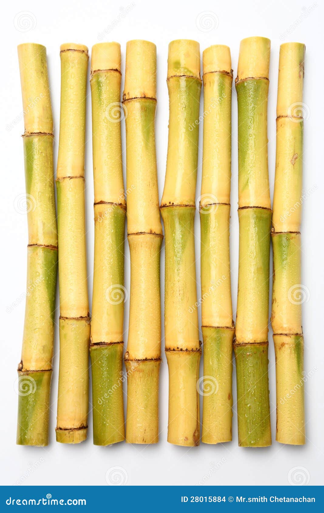 Raw sugar cane stock photo. Image of brown, power, cane - 28015884