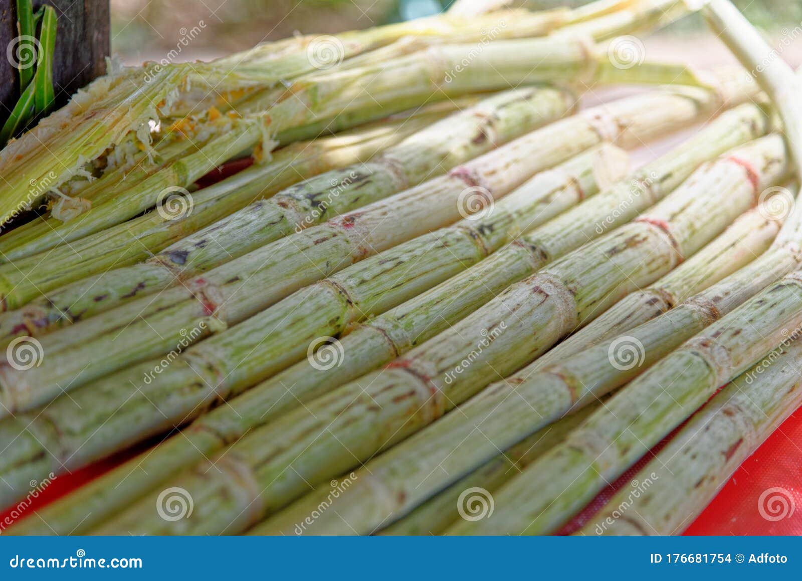 Raw sugar cane cuts stock photo. Image of healthy, delicious - 176681754