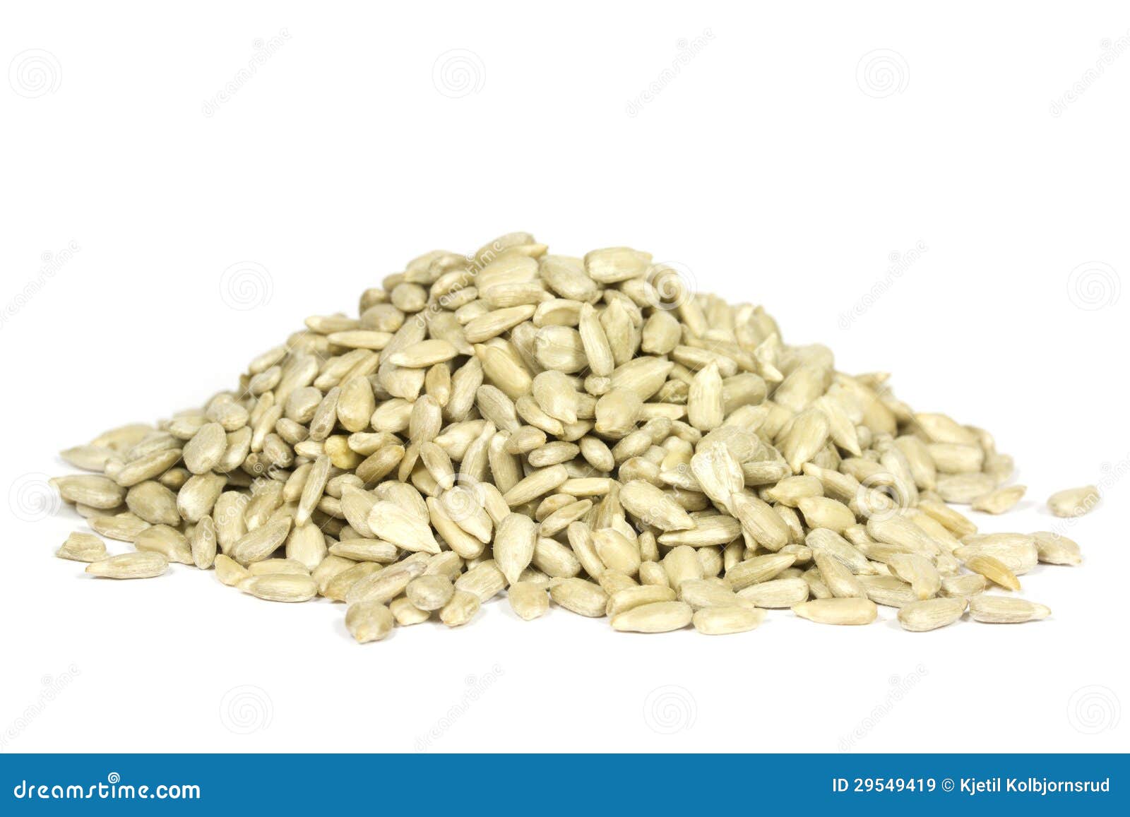 Raw Sunflower Seed Kernels stock image. Image of side - 29549419
