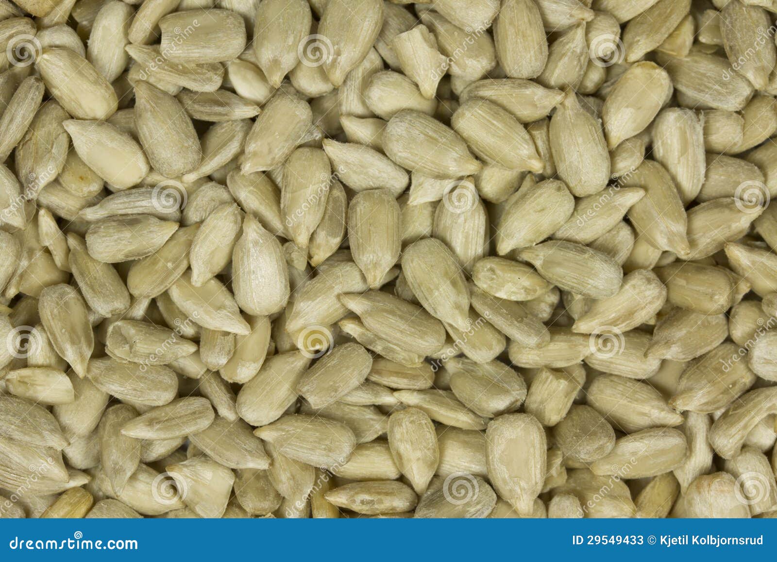 Raw Sunflower Seed Kernels stock image. Image of closeup - 29549433