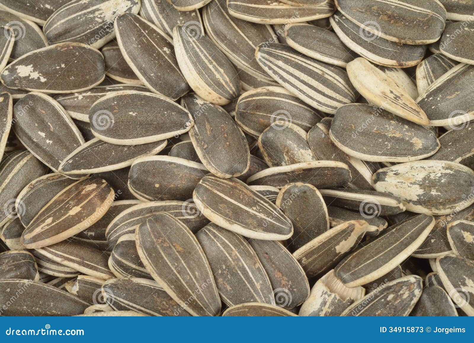 Raw sunflower seeds stock image. Image of texture, seed - 34915873