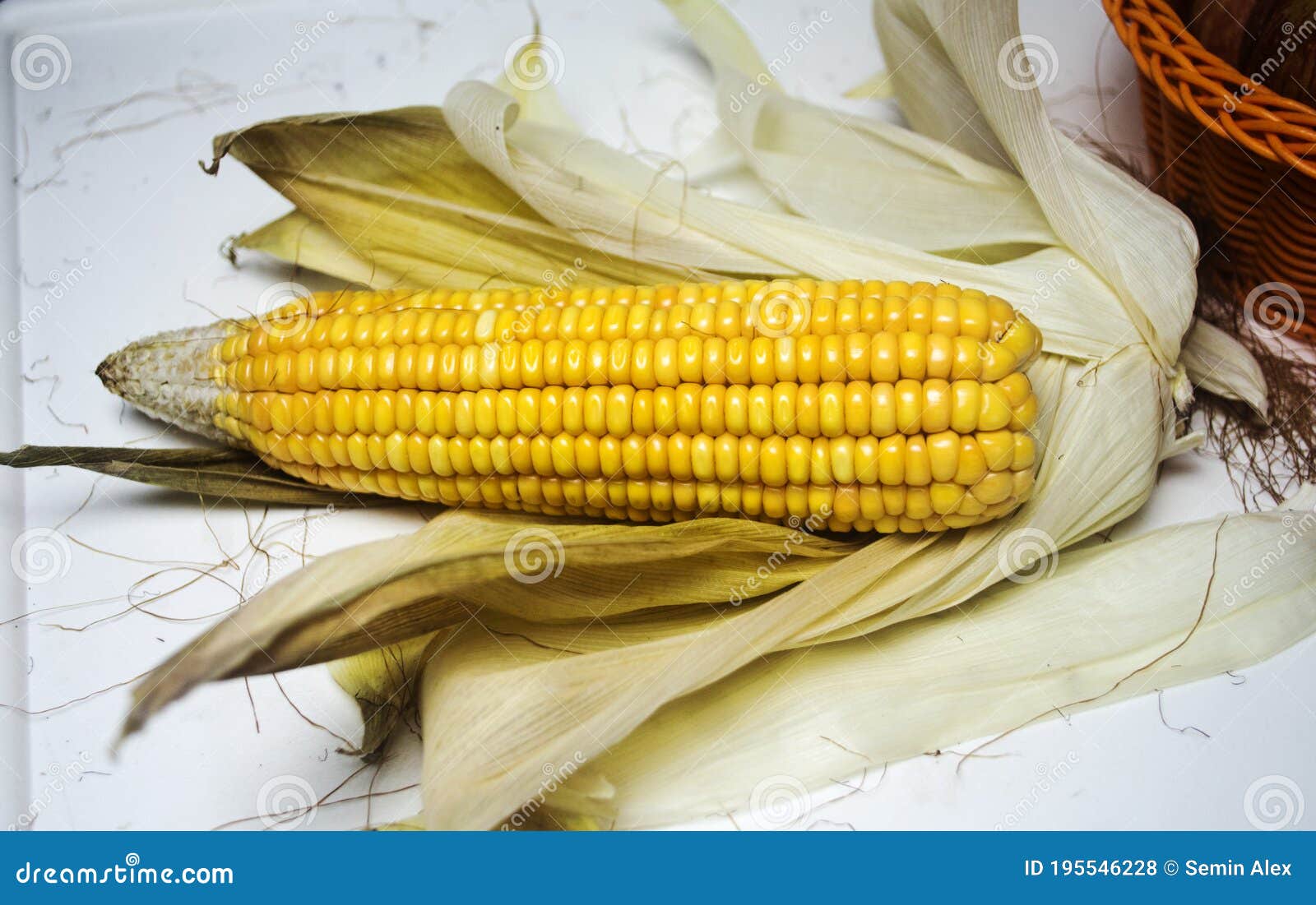 Raw Sweet Corn on Blurred Background with Dried Leaves Stock Photo ...