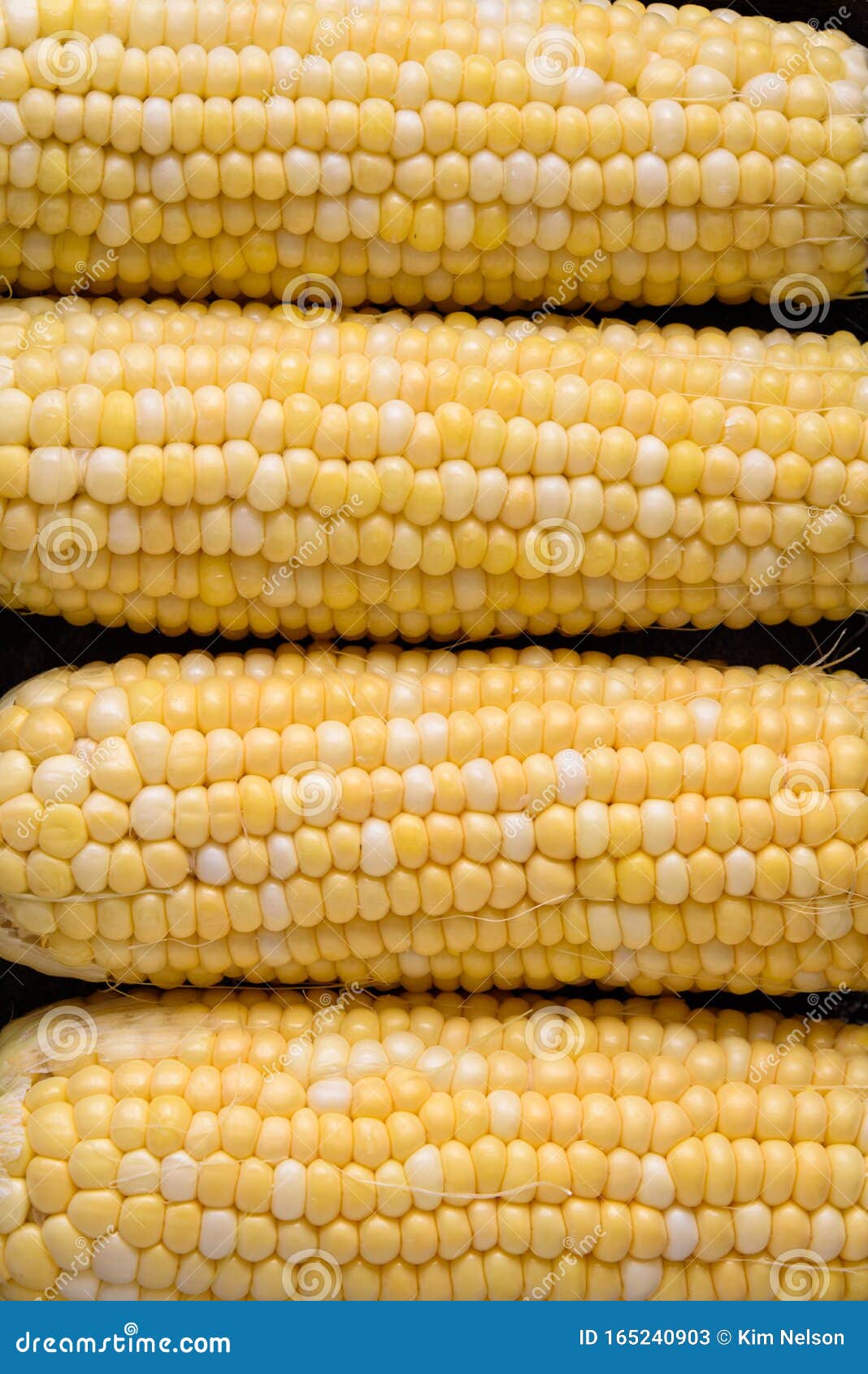 Raw Sweet Corn Shucked and Ready To Cook Stock Image - Image of corn ...
