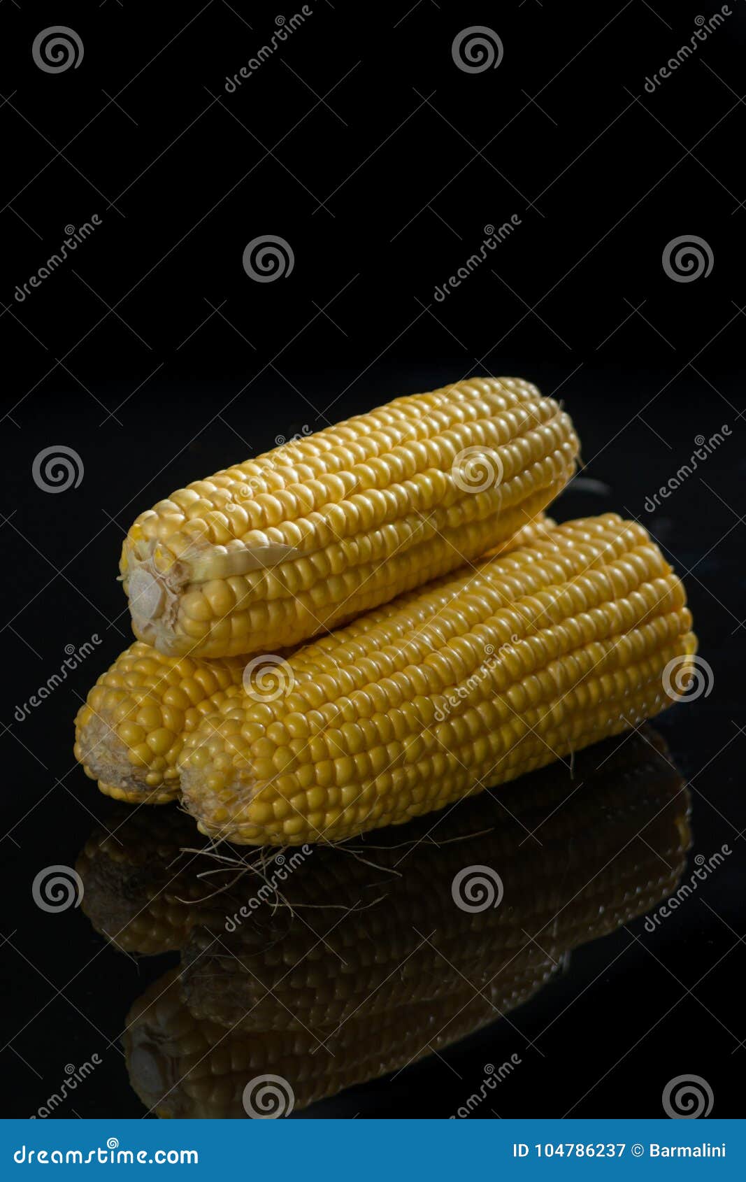 Raw Sweet Corn, Yellow Ripe Corn Ears Stock Image - Image of reflection ... Raw Sweet Corn, Yellow Ripe Corn Ears Stock Image - Image of reflection ...