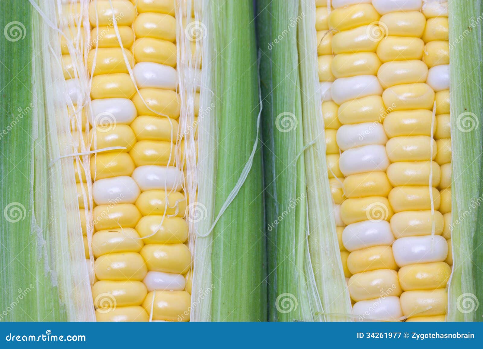 Raw Sweetcorn. stock image. Image of fresh, food, grain - 34261977