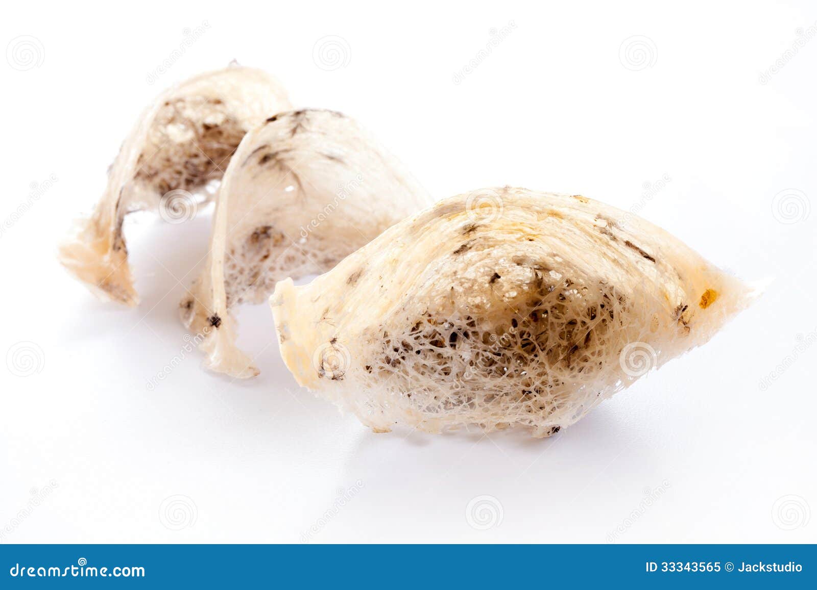 Raw swiftlet nest stock image. Image of saliva, harvest - 33343565