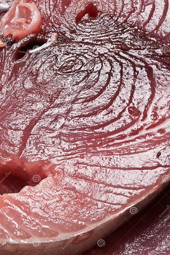 Raw swordfish stock photo. Image of albacore, uncooked - 21972052