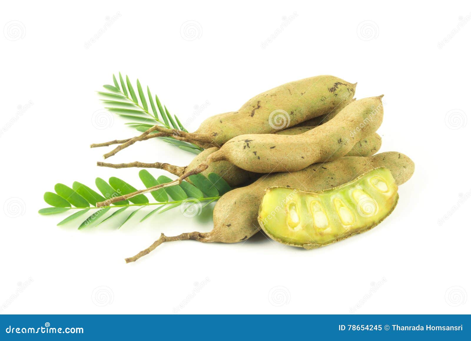 Raw Tamarind with Leaf Isolated Stock Image - Image of pulse, studio ...