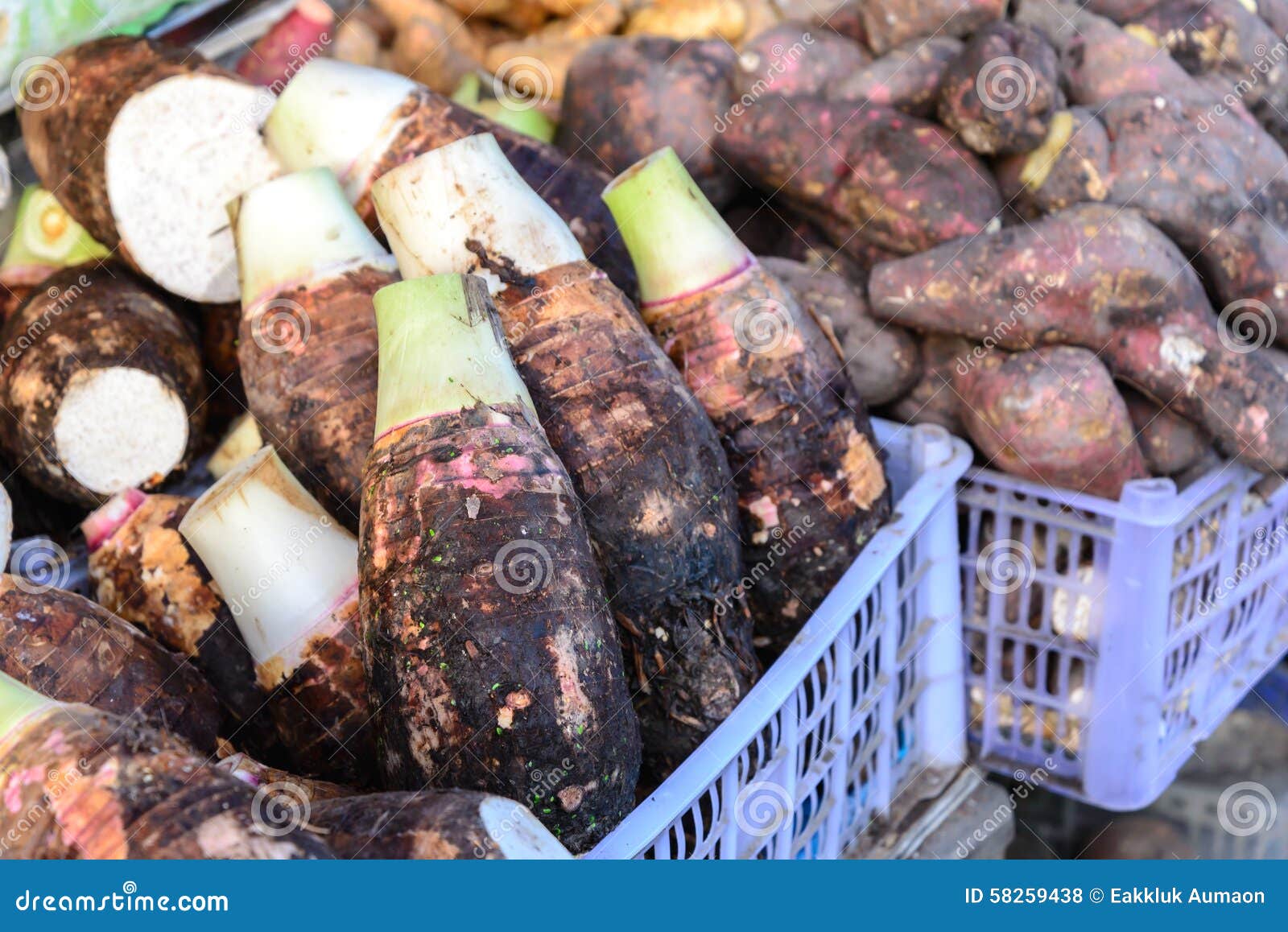 Raw Taro in Basket at Market, Tuber Crops Stock Photo - Image of asian ...