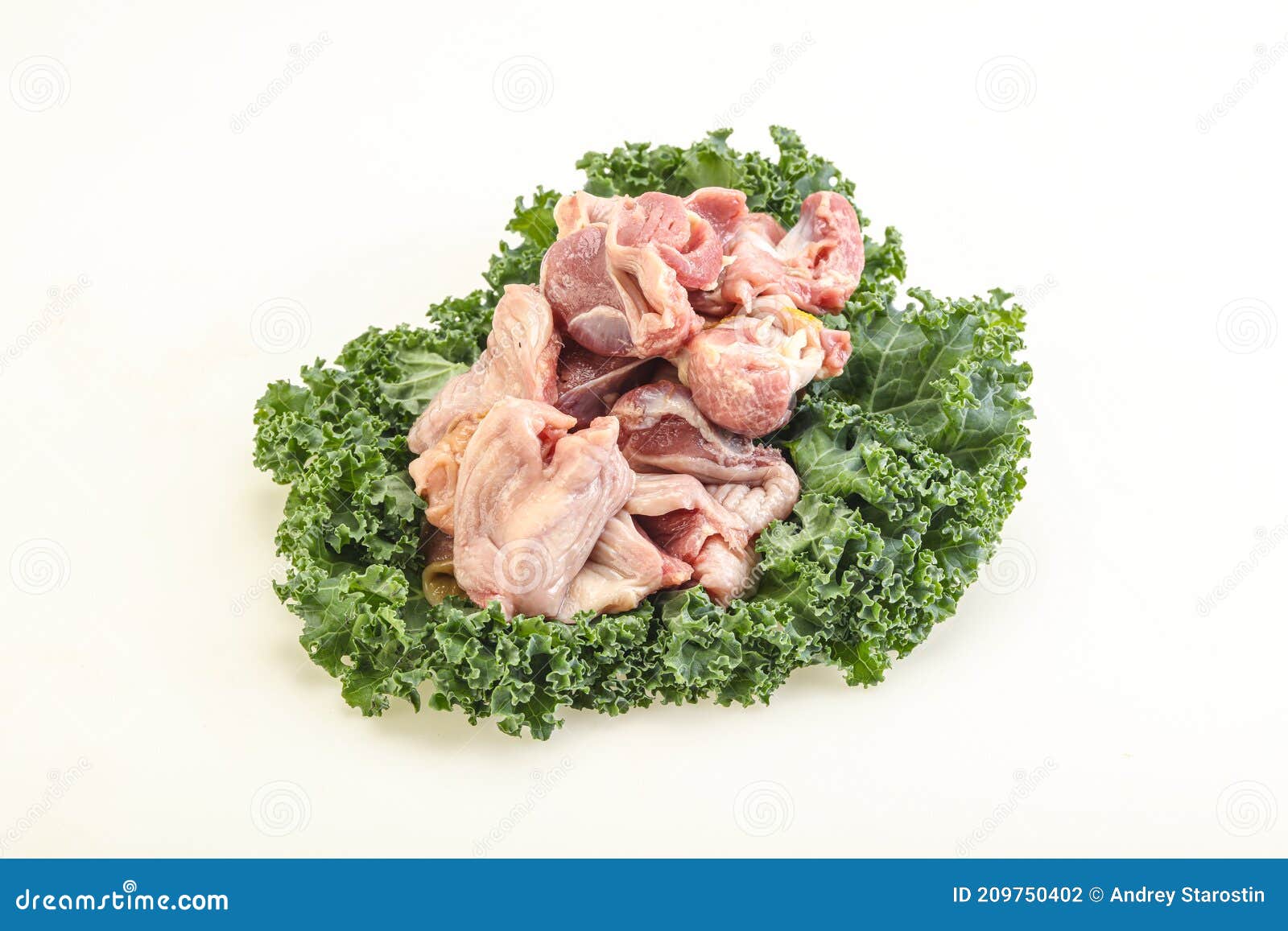 Raw Chicken Stomach for Cooking Stock Photo - Image of food, meal ...