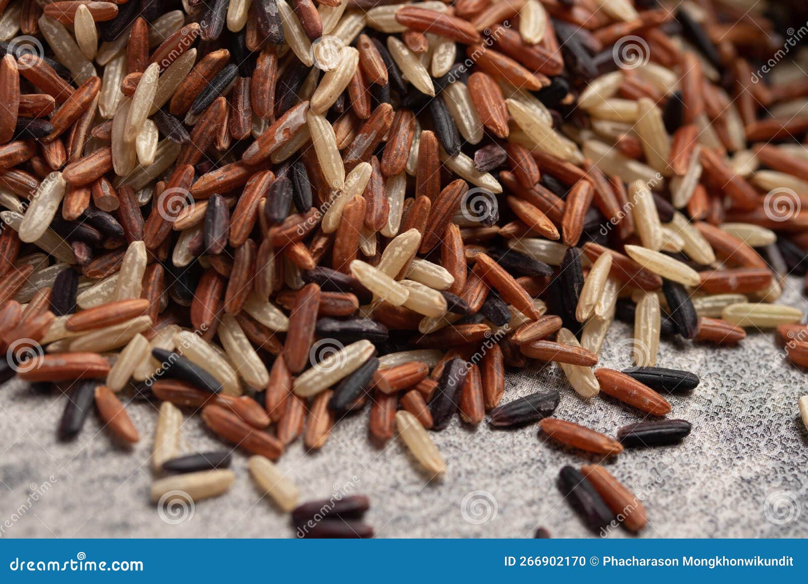 Raw Three Color Jasmine Rice.Thai Rice Grains Stock Photo - Image of ...