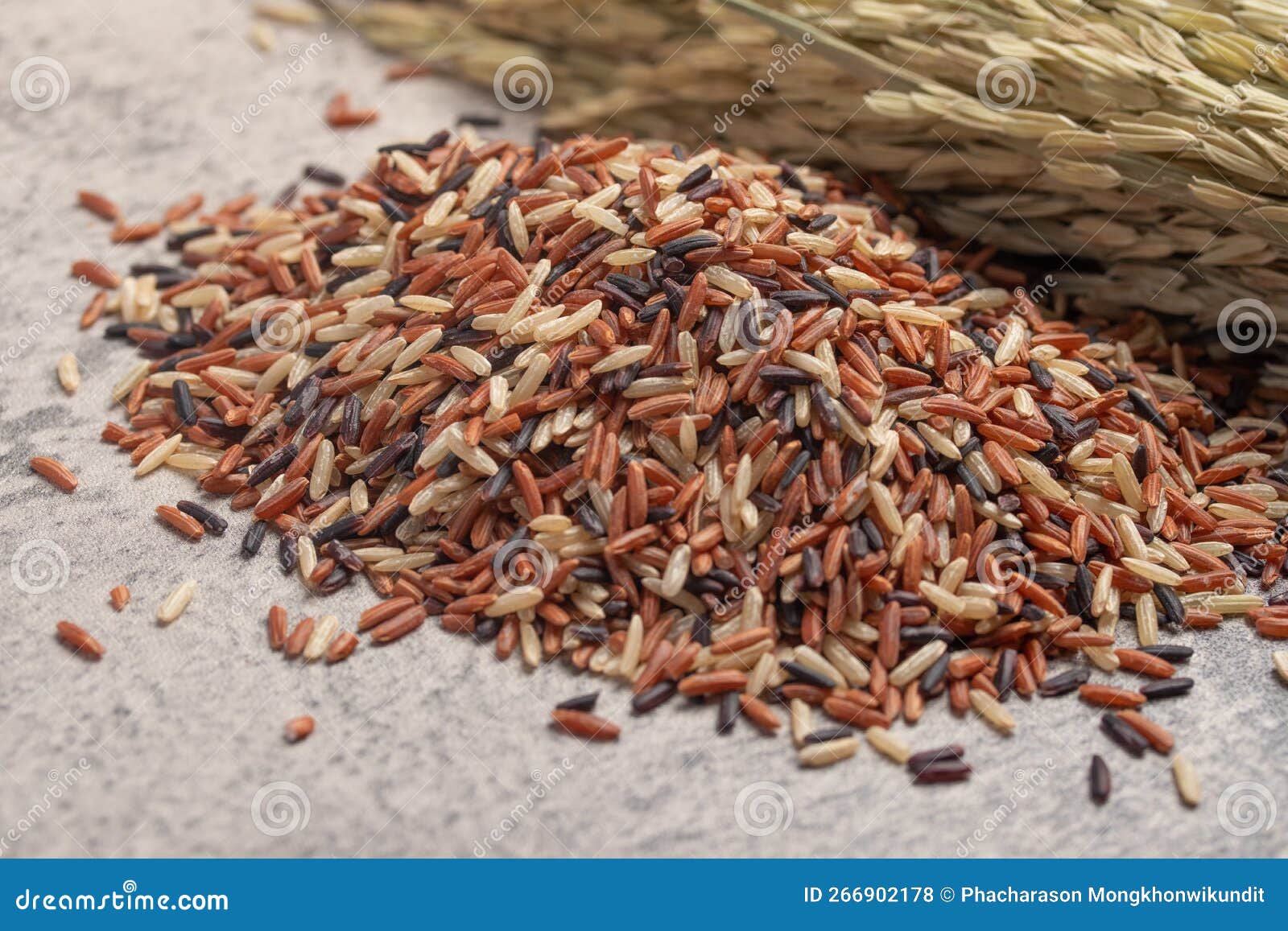 Raw Three Color Jasmine Rice.Thai Rice Grains Stock Photo - Image of ...