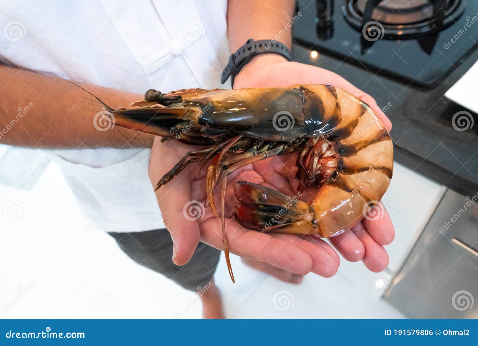 Raw Tiger Prawn Compared with Human Hand Stock Photo - Image of grilled ...
