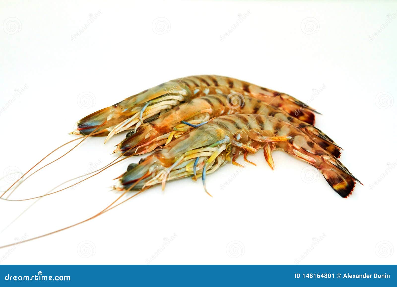 Raw tiger prawns isolated stock image. Image of fresh - 148164801