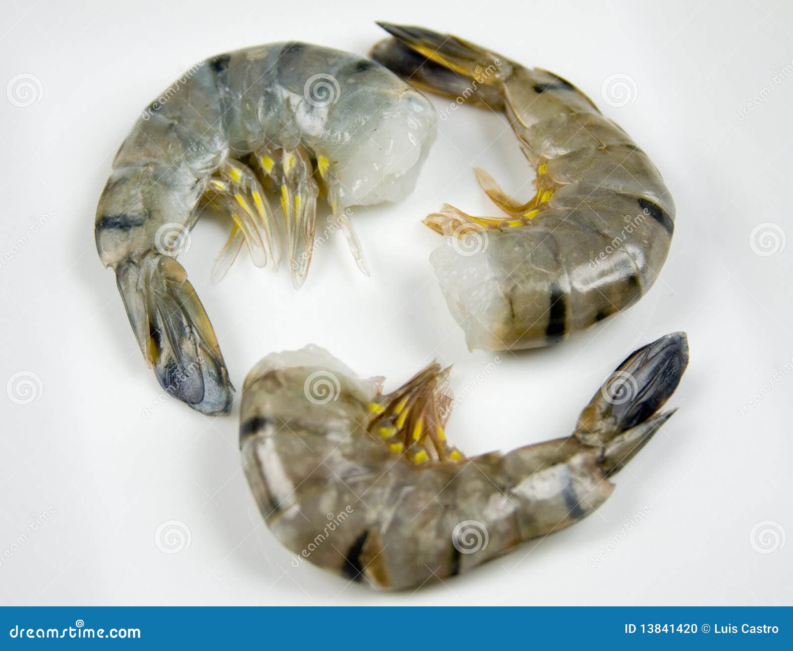 Raw Tiger Shrimp stock photo. Image of calories, natural - 13841420