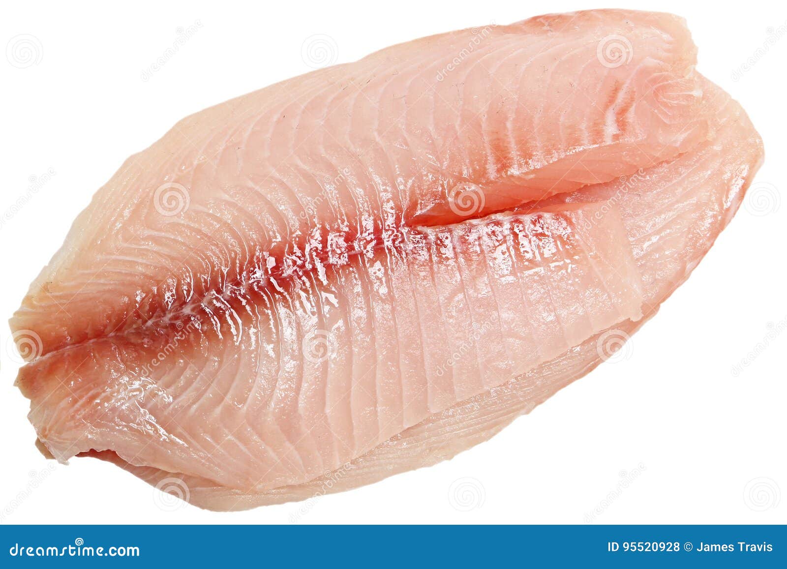 Raw Tilapia Fillets stock photo. Image of tilapia, food - 95520928
