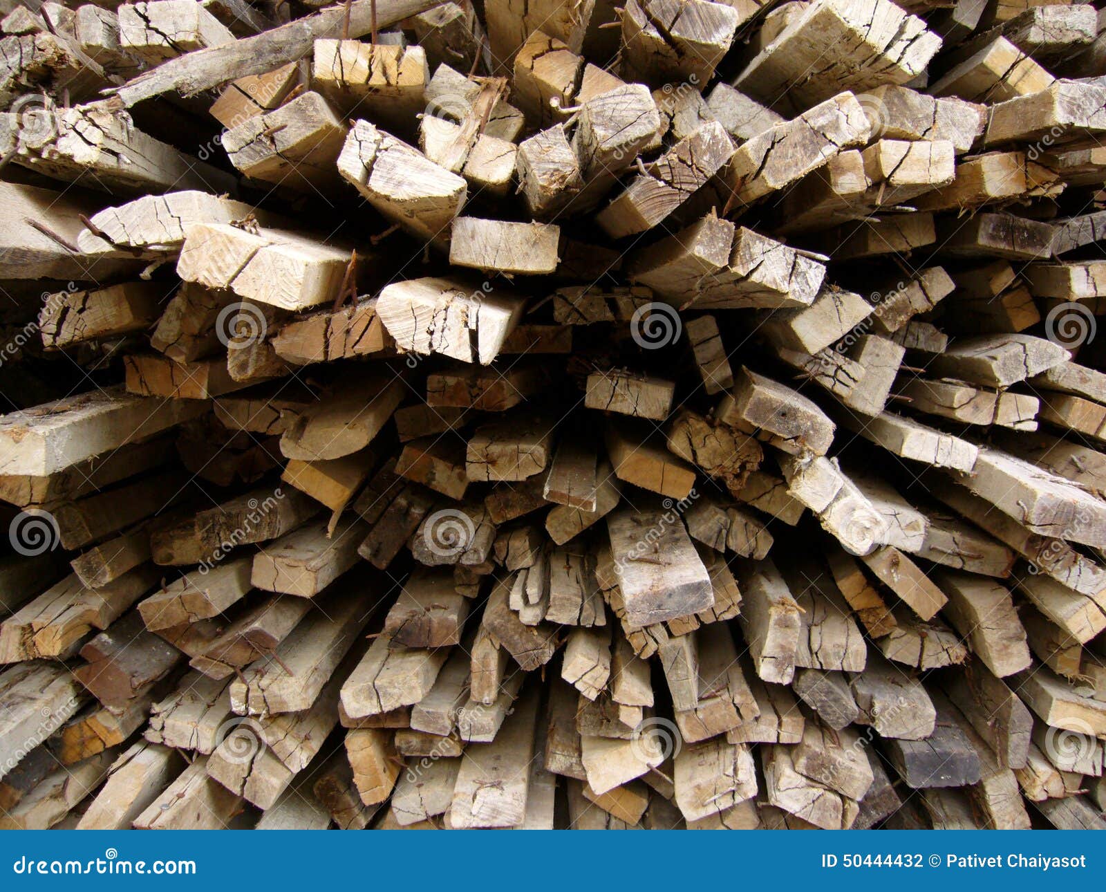 Raw Timber. stock photo. Image of construction, environment - 50444432