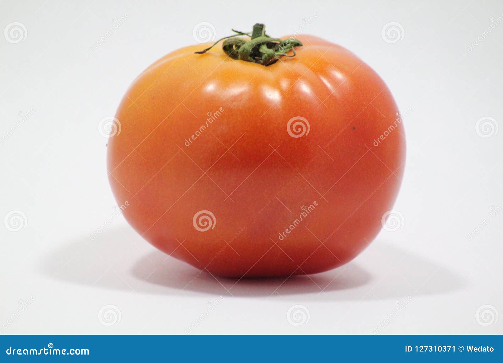 Raw tomato vegatable stock image. Image of mapturkey - 127310371