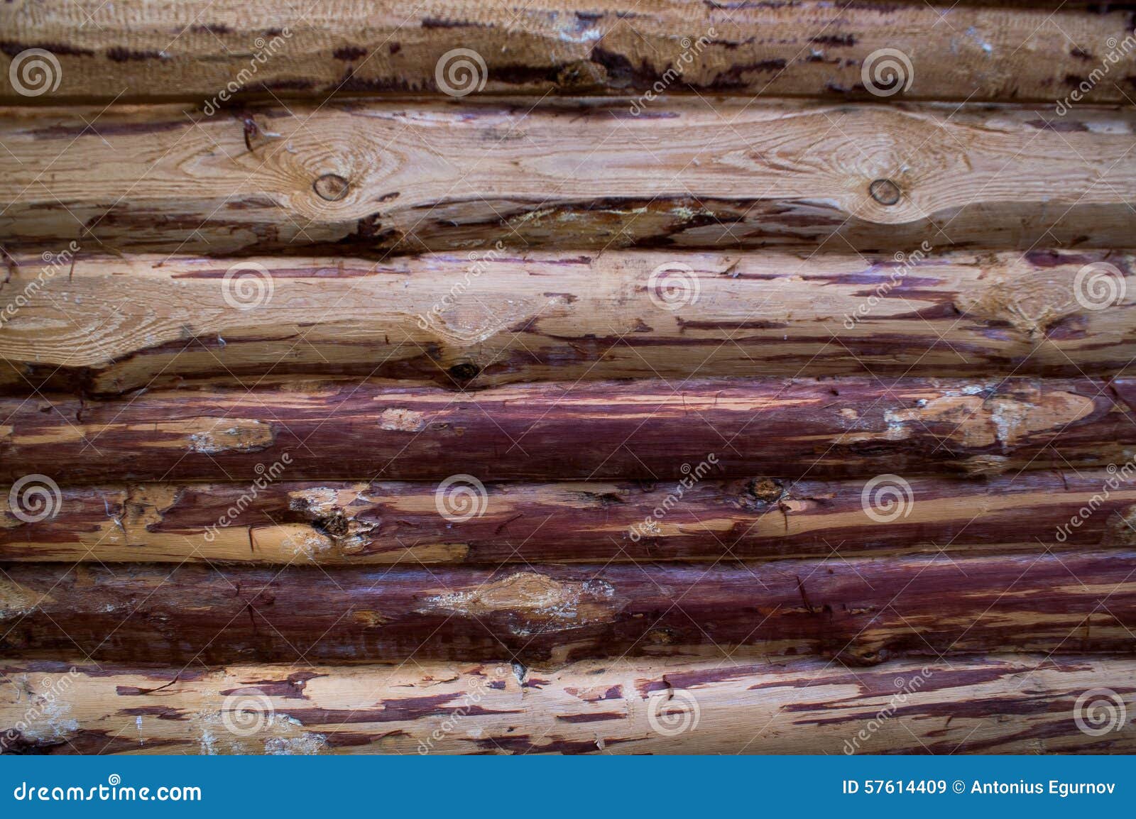 Raw tree stock image. Image of circle, construction, abstraction - 57614409