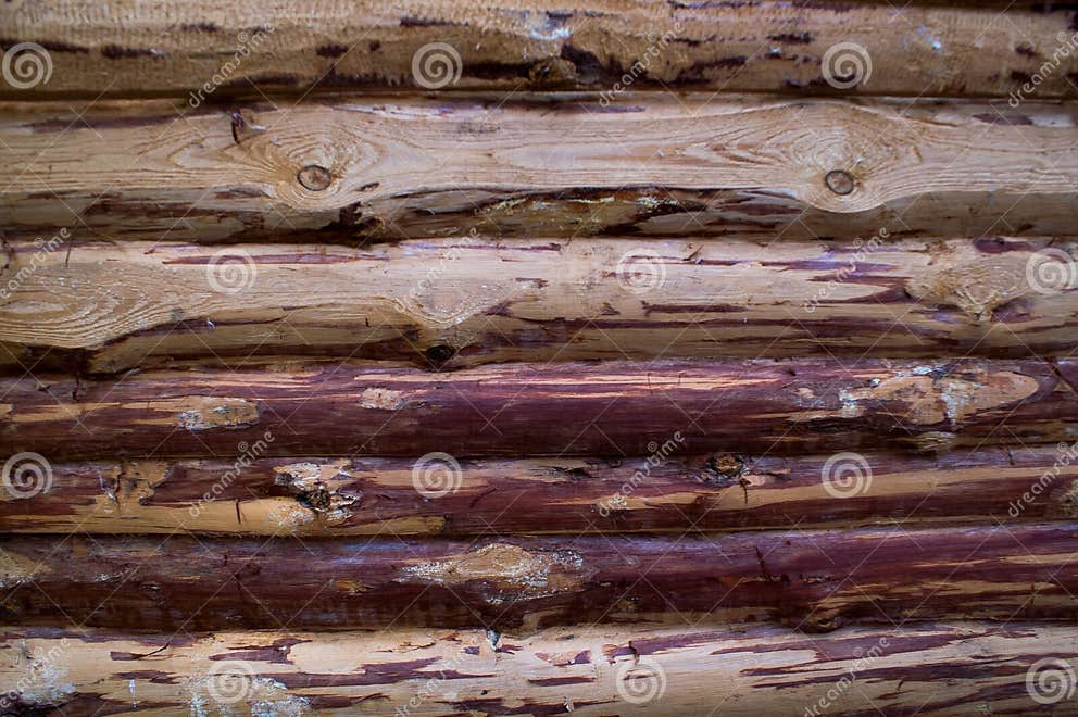 Raw tree stock image. Image of circle, construction, abstraction - 57614409