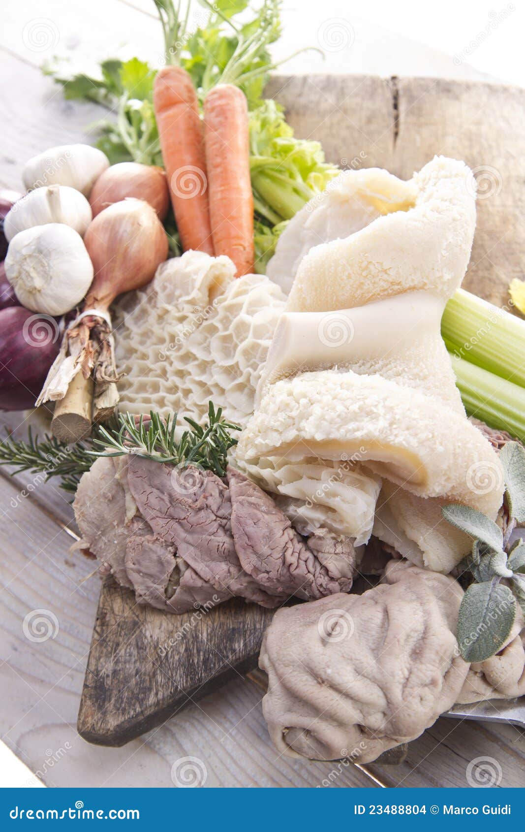 Raw tripe stock photo. Image of tripe, meal, edible, boiled - 23488804